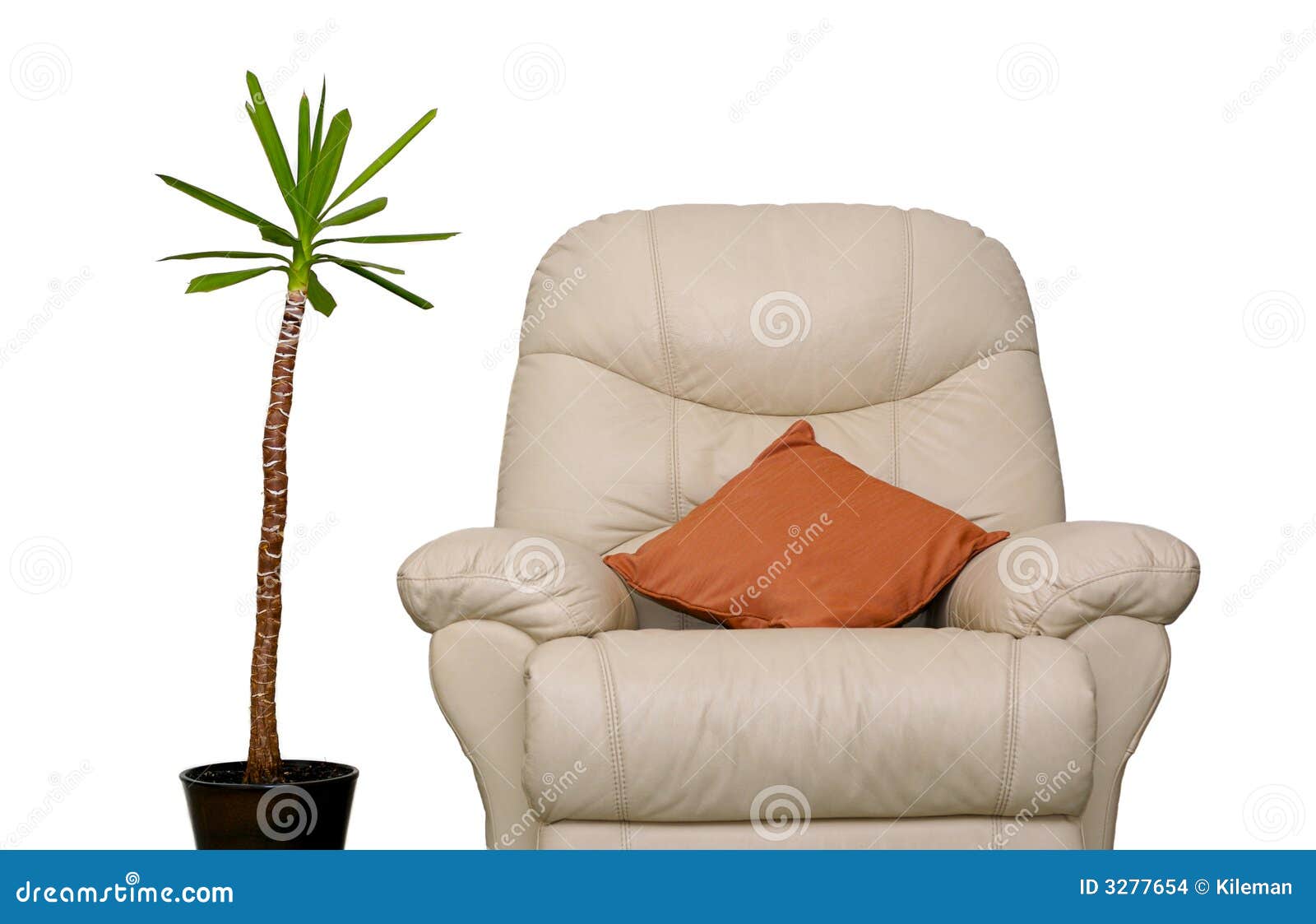 Couch and plant stock photo. Image of furniture, modern - 3277654