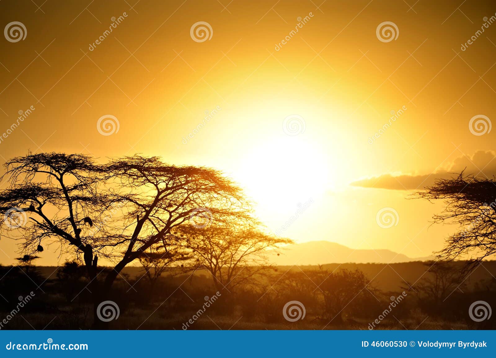 Coucher Du Soleil Dans La Savane Africaine Photo stock - Image du ...