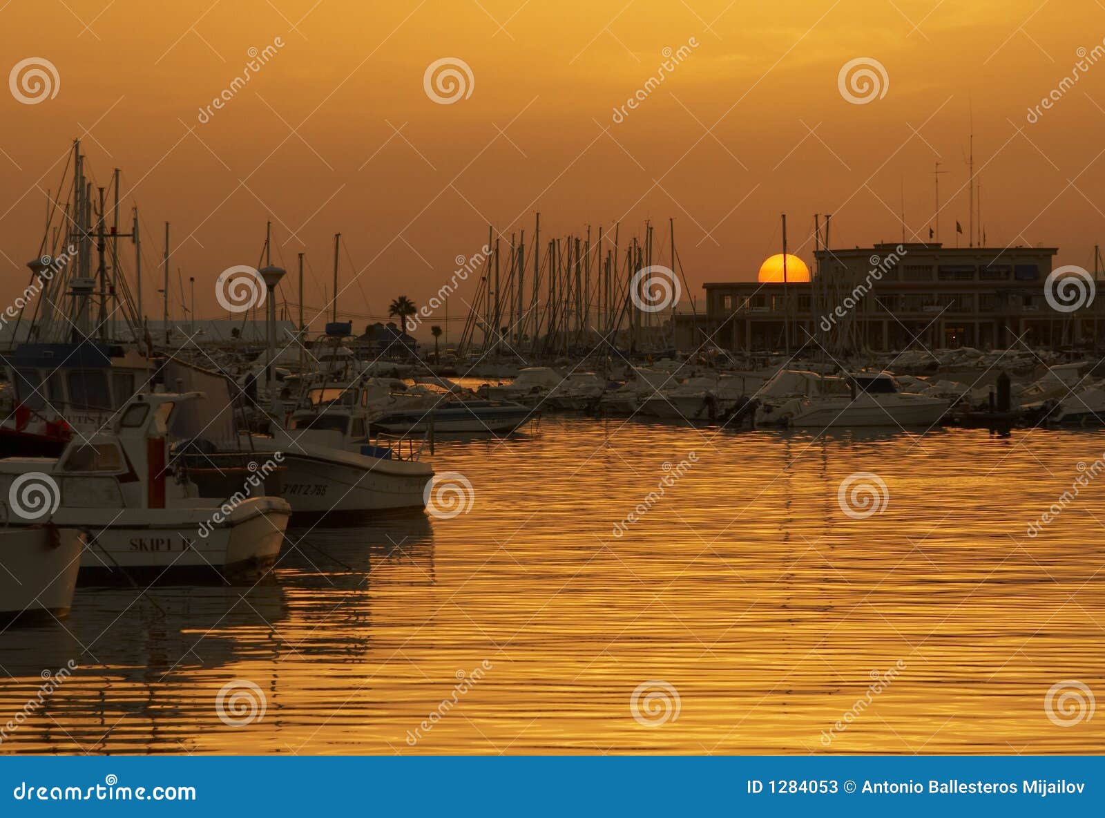 Coucher Du Soleil Dans Le Port Image stock - Image du flore, bateau ...