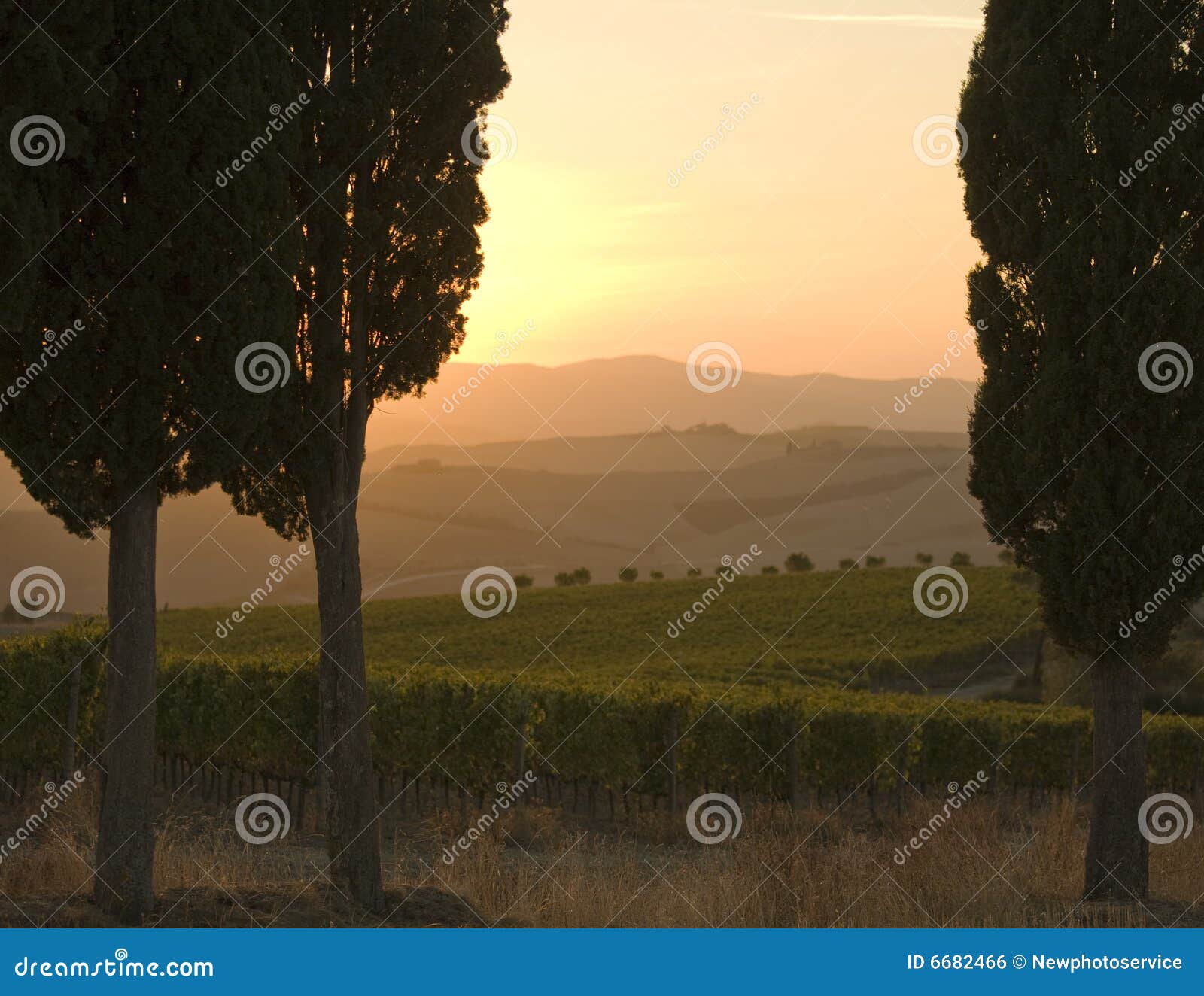 Coucher Du Soleil Le Toscan Photo stock - Image du campagne, durée: 6682466