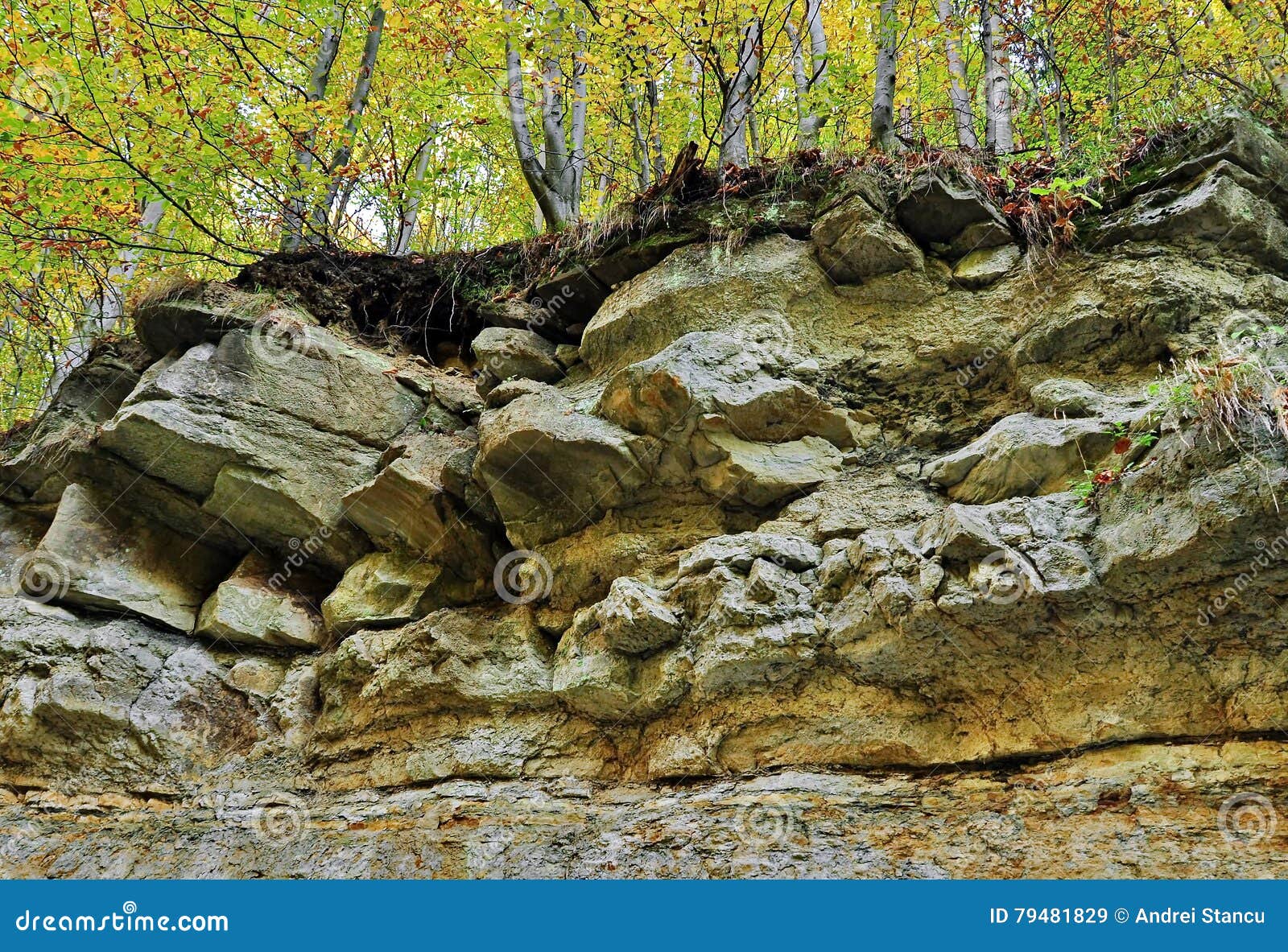 Couches de sol image stock. Image du sable, environnement - 79481829