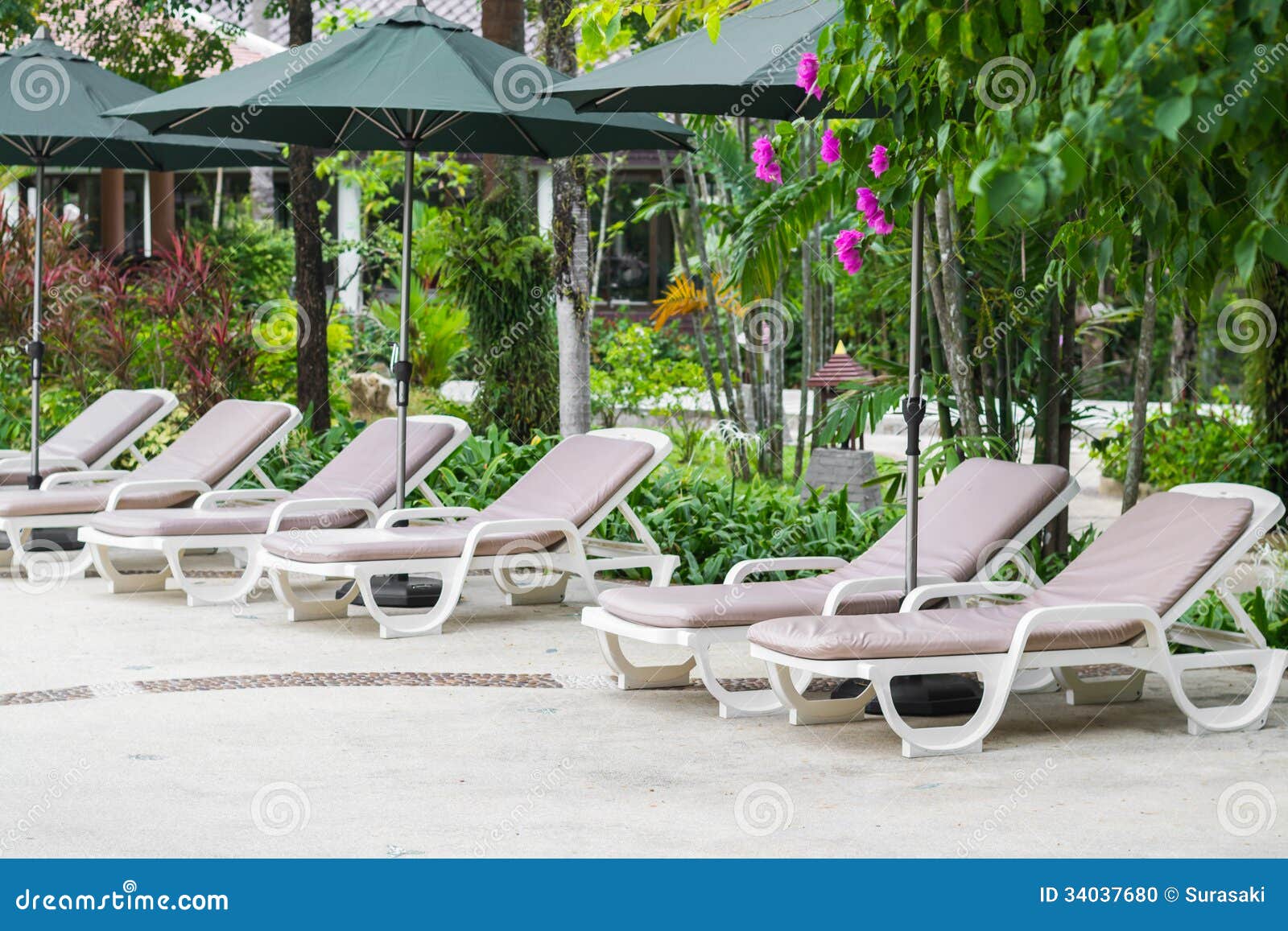 Couches with Umbrellas in the Garden Stock Photo - Image of relaxation ...