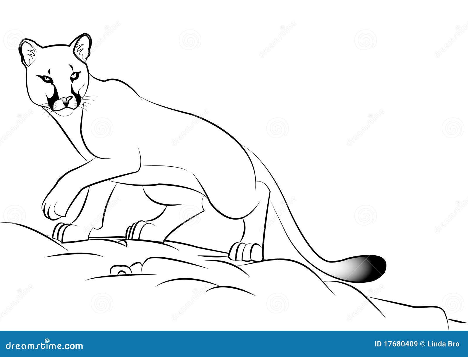 Simple Cougar Drawing