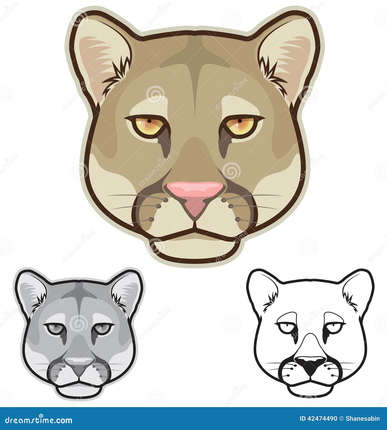 Cougar Face Drawing