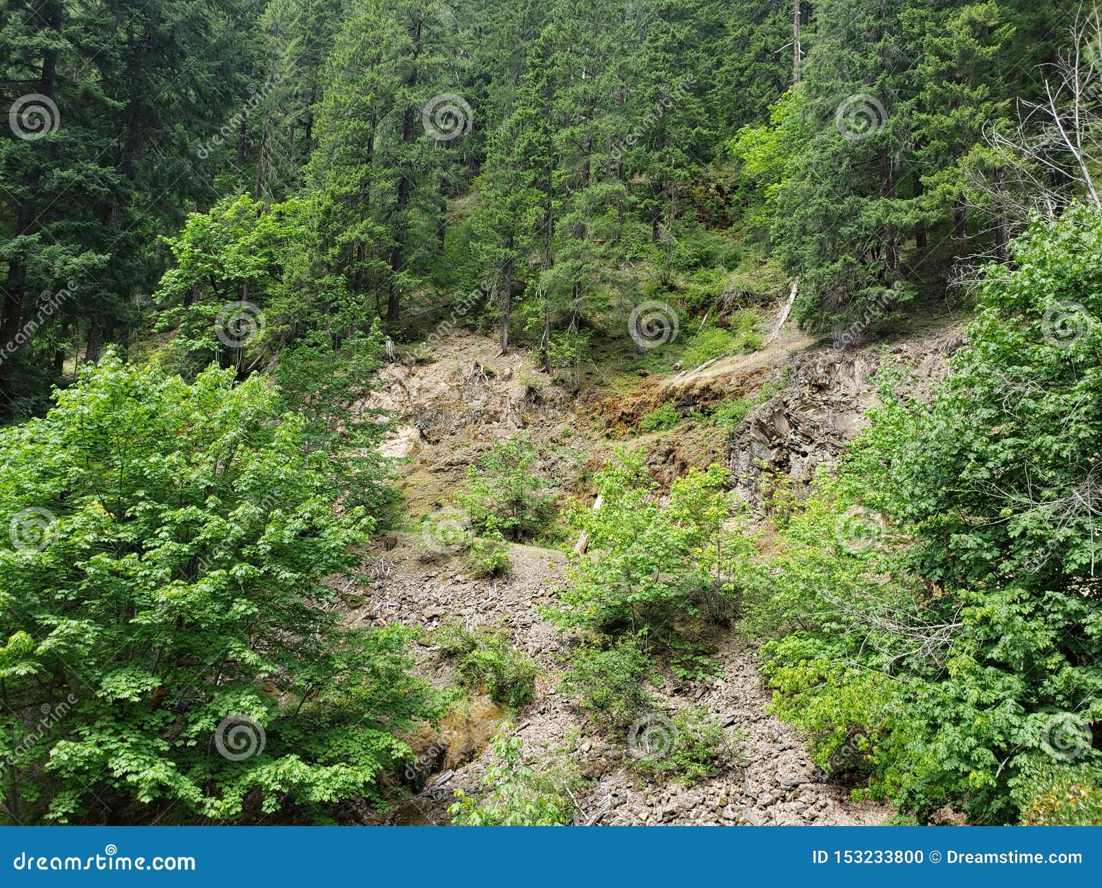 Cougar Reservoir Oregon stock photo. Image of oregon - 153233800