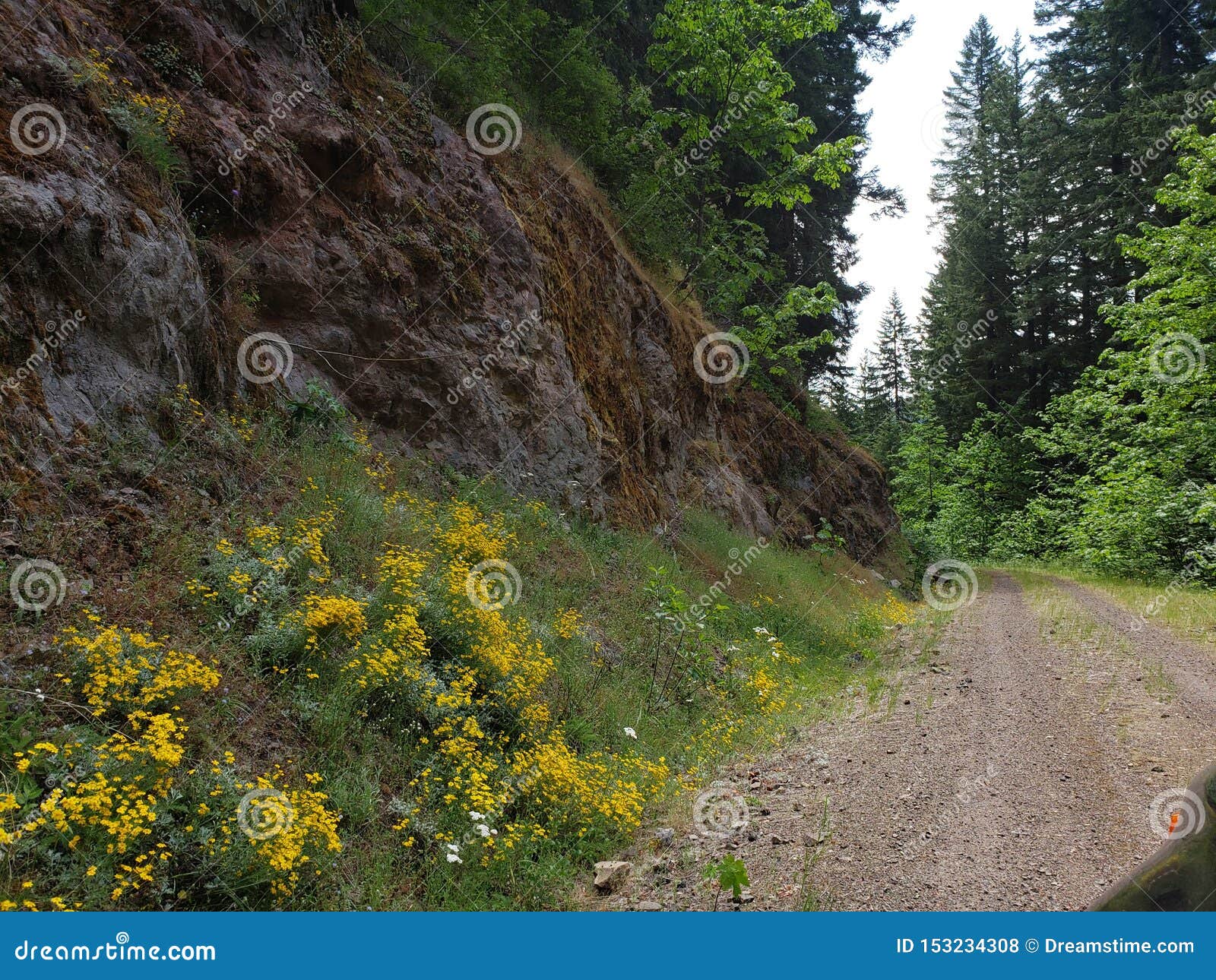 Cougar Reservoir Oregon stock photo. Image of outdoors - 153234308