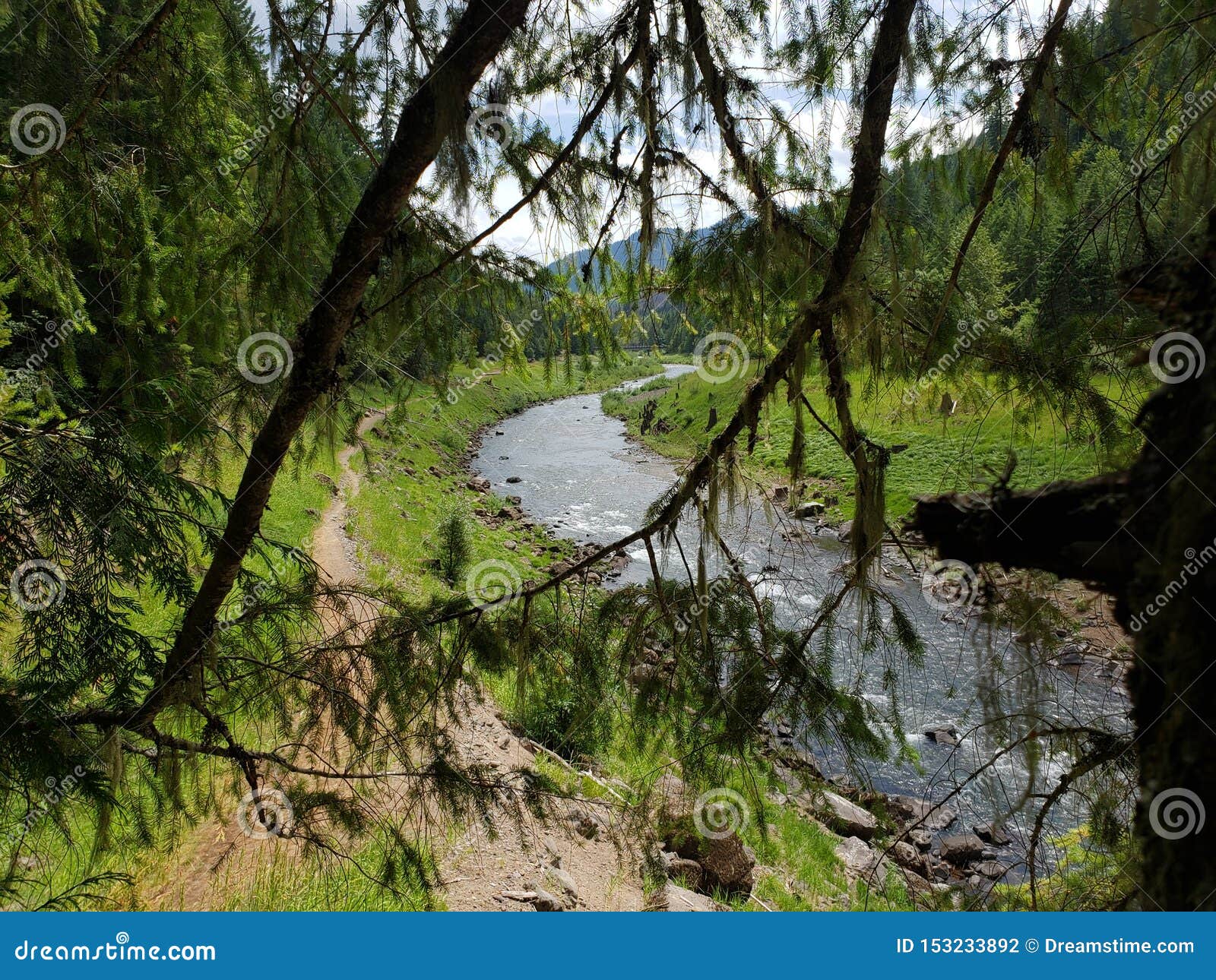 Cougar Reservoir Oregon stock photo. Image of outdoors - 153233892