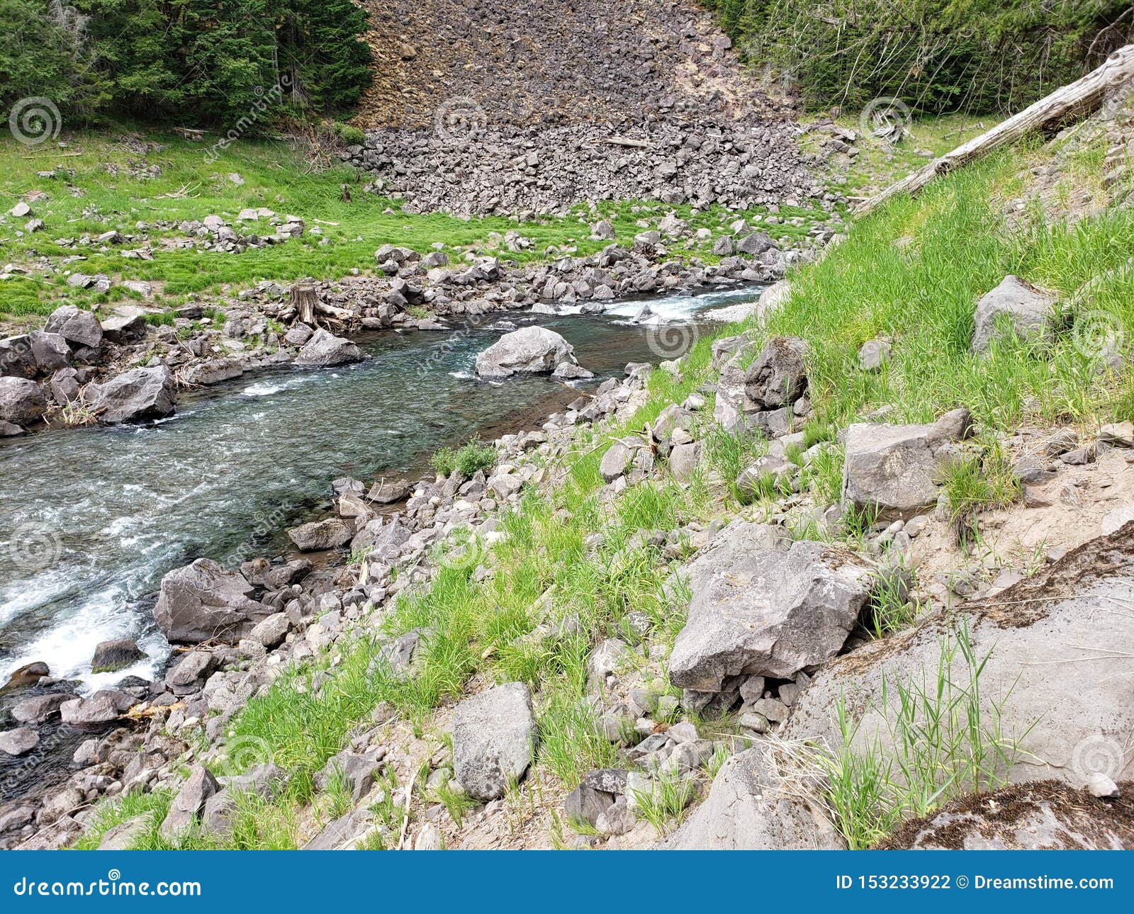 Cougar Reservoir Oregon stock photo. Image of cougar - 153233922