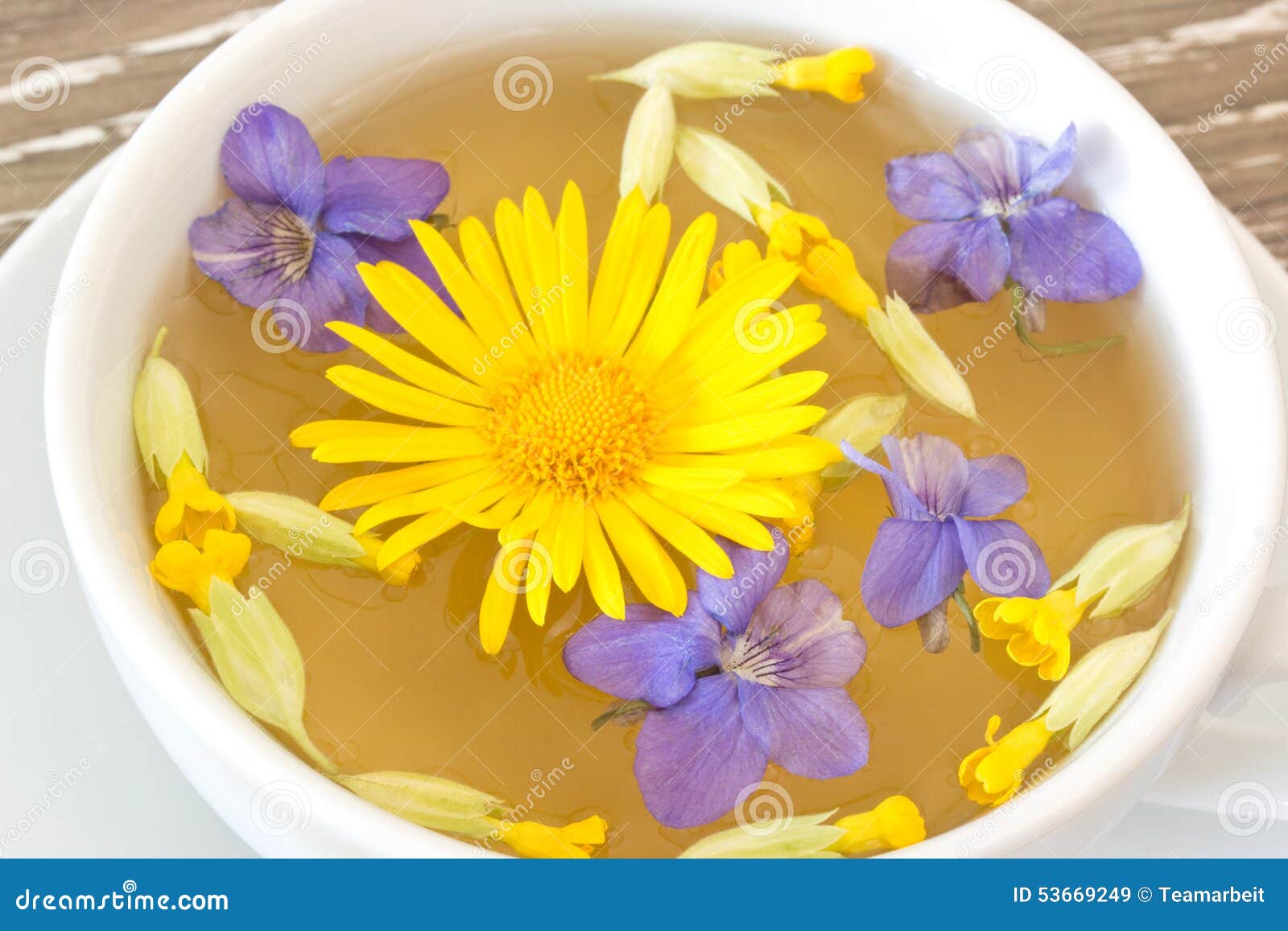 Cough Tea with Coltsfoot Violets Cowslip Stock Image - Image of herbs ...