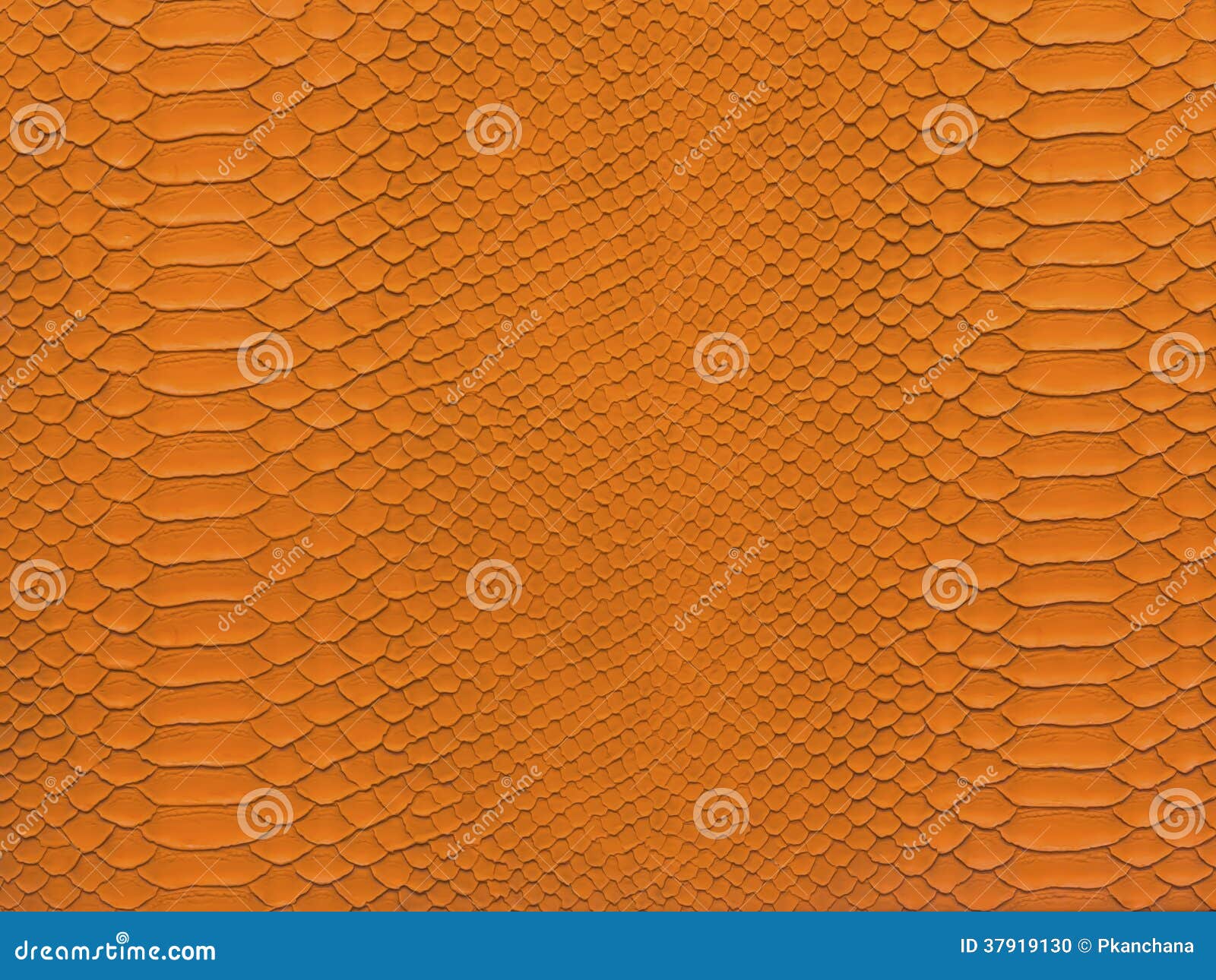 Couleur D'orange De Peau De Serpent Photo stock - Image du détail ...