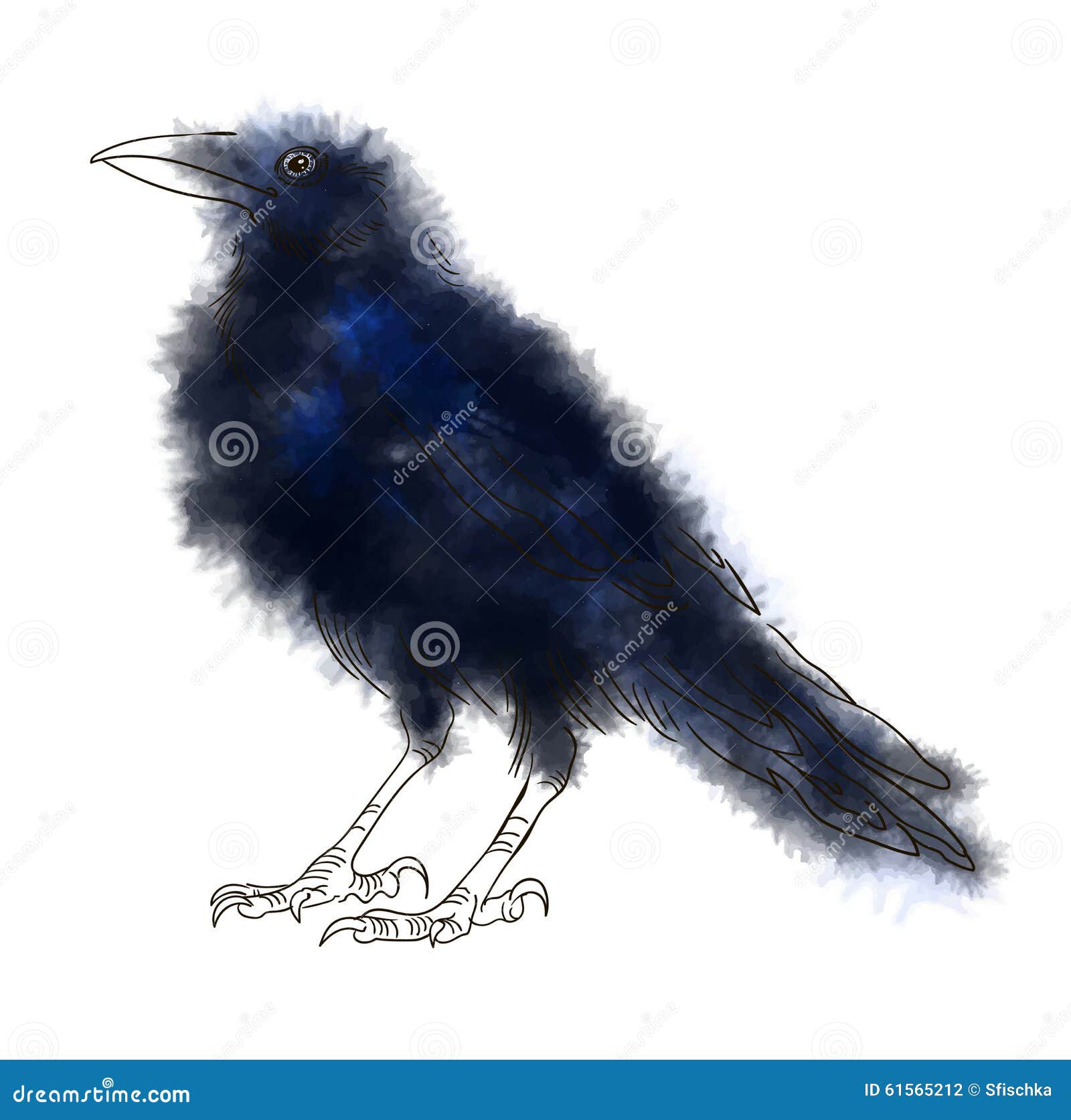 Couleurs Peintes Par Corbeau Noir De Dessin Illustration de Vecteur ...