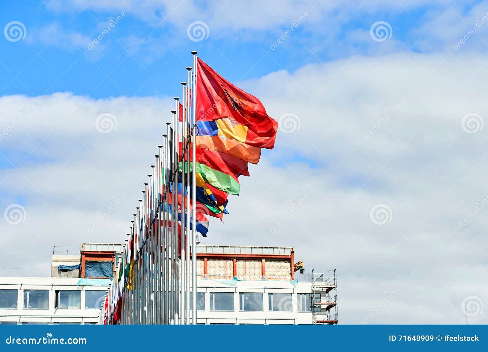 Council of Europe All Member Flags Stock Image - Image of exposition ...