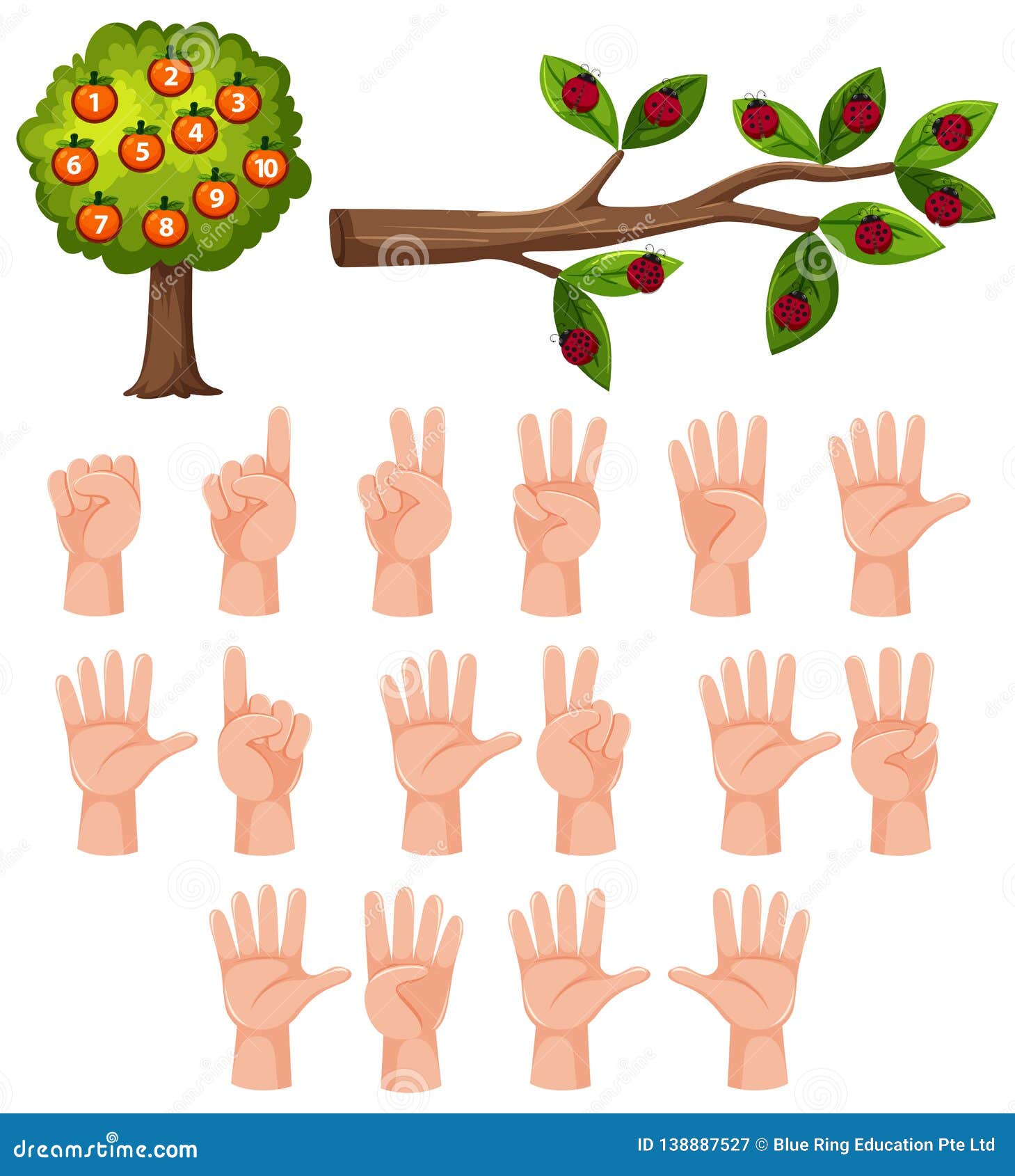 Count Math Number Hand Gesture Stock Vector - Illustration of number ...