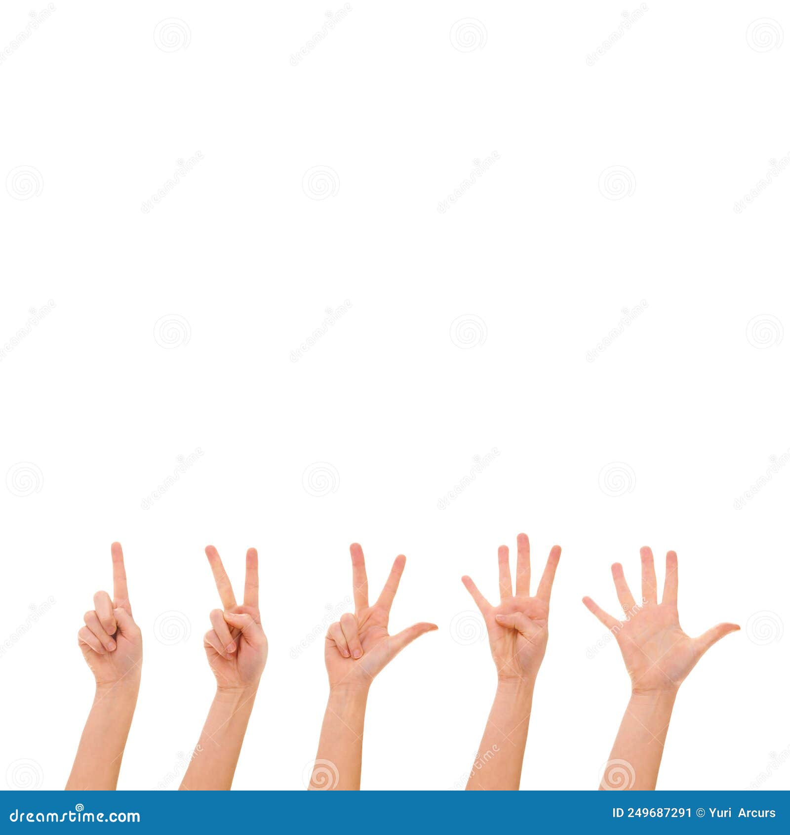 Count Till Five. Cropped Shot of Hands Isolated on White. Stock Image ...