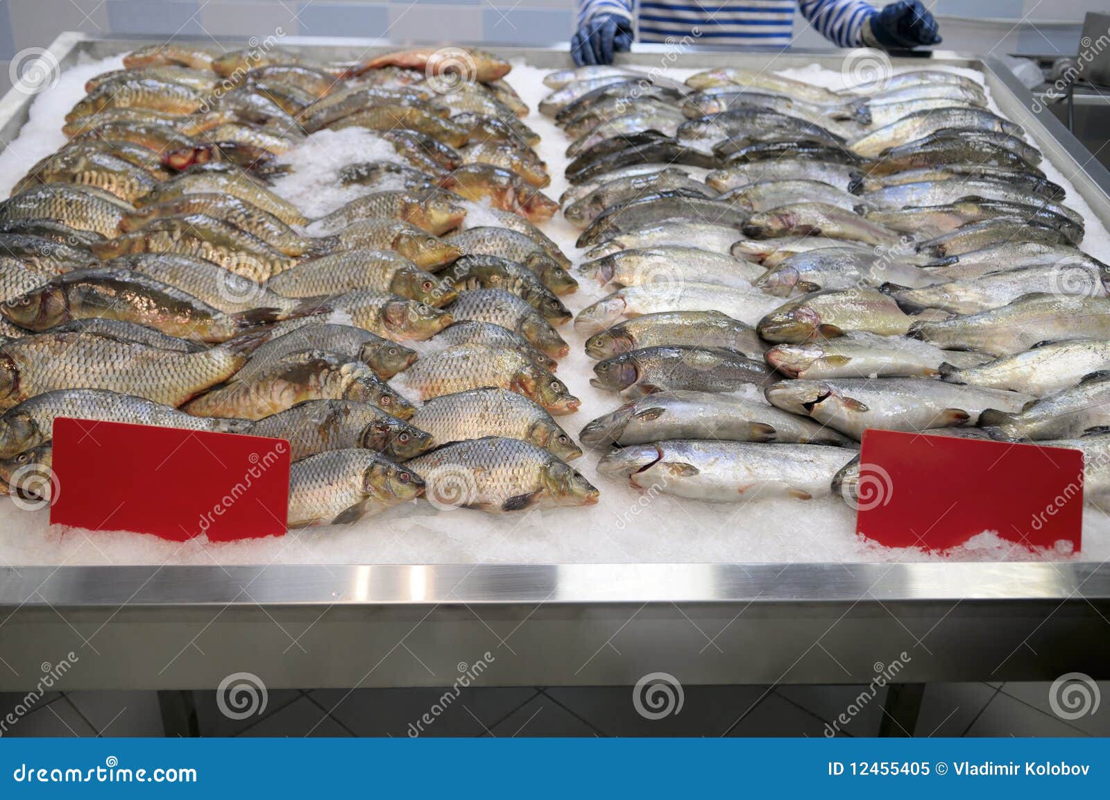 Counter fish store. stock image. Image of gourmet, indoors - 12455405