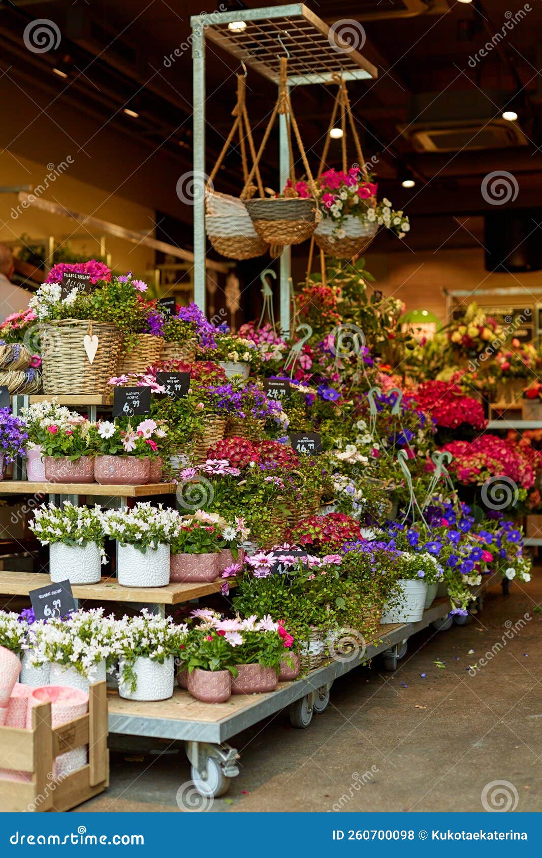 The Counter of a Flower Store in Germany is Full of Fresh Flowers Stock ...