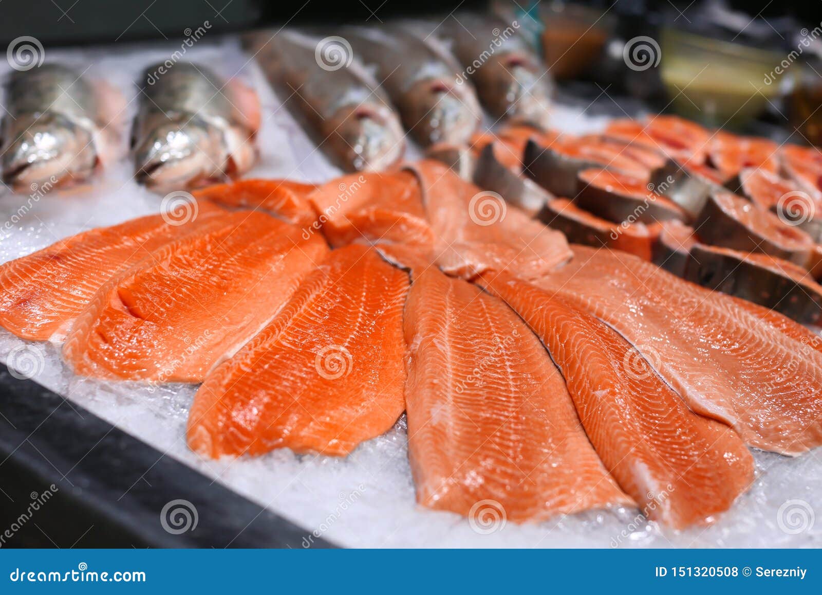 Counter with Fresh Salmon in Ice Stock Photo - Image of seafood, offer ...