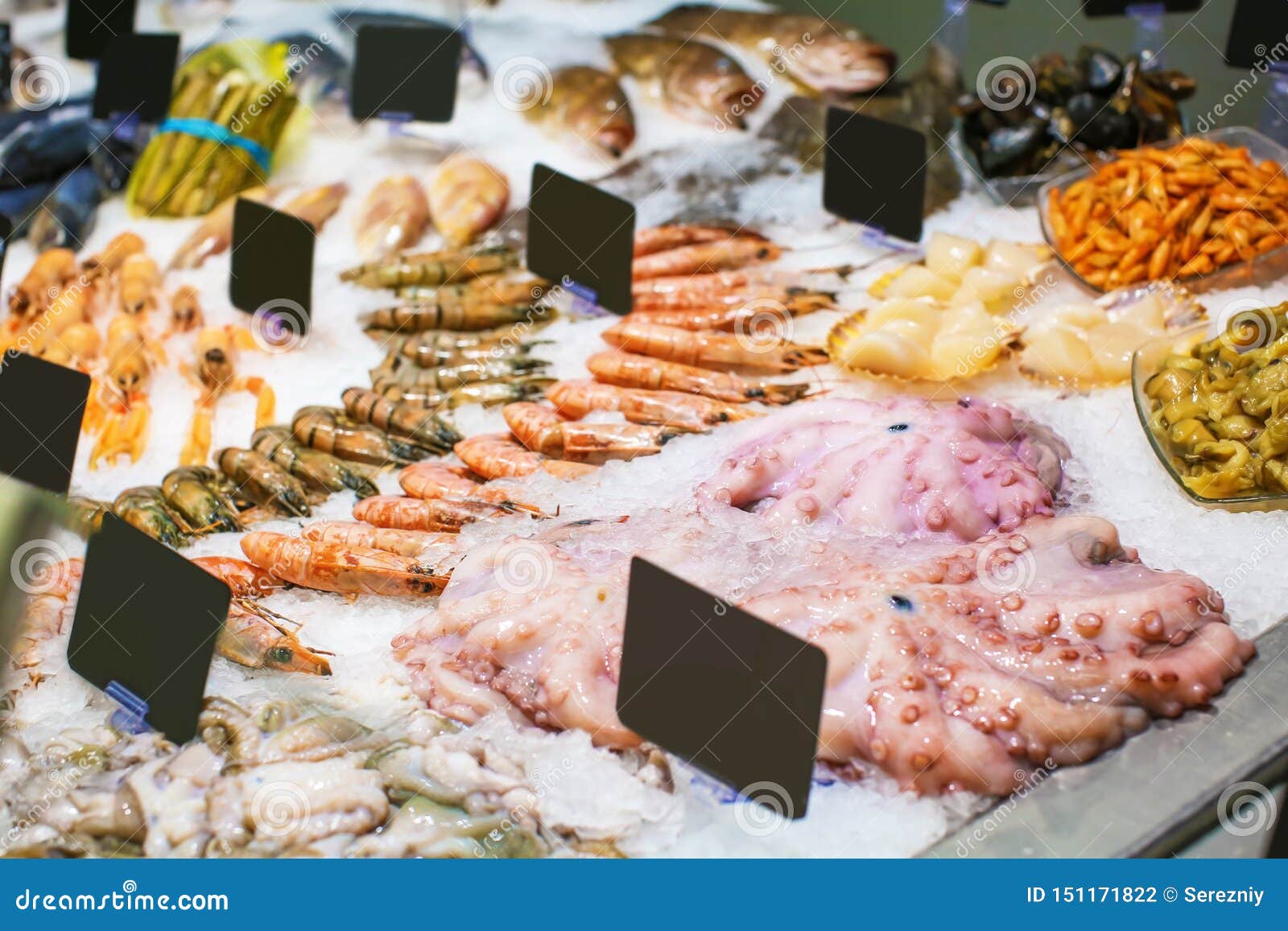 Counter with Fresh Seafood in Ice Stock Photo - Image of aquaculture ...