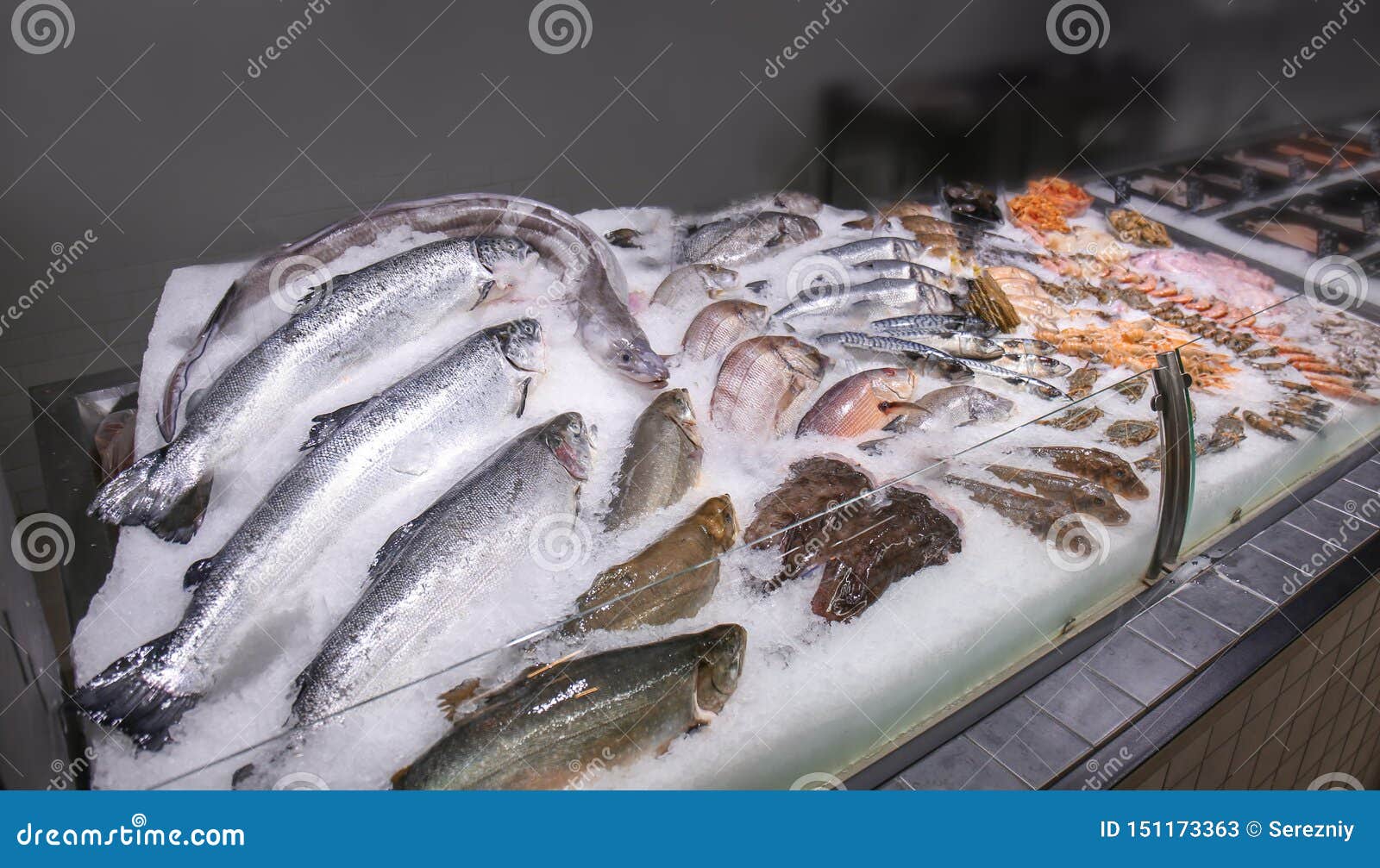 Counter with Fresh Fresh Seafood in Store Stock Image - Image of prawn ...