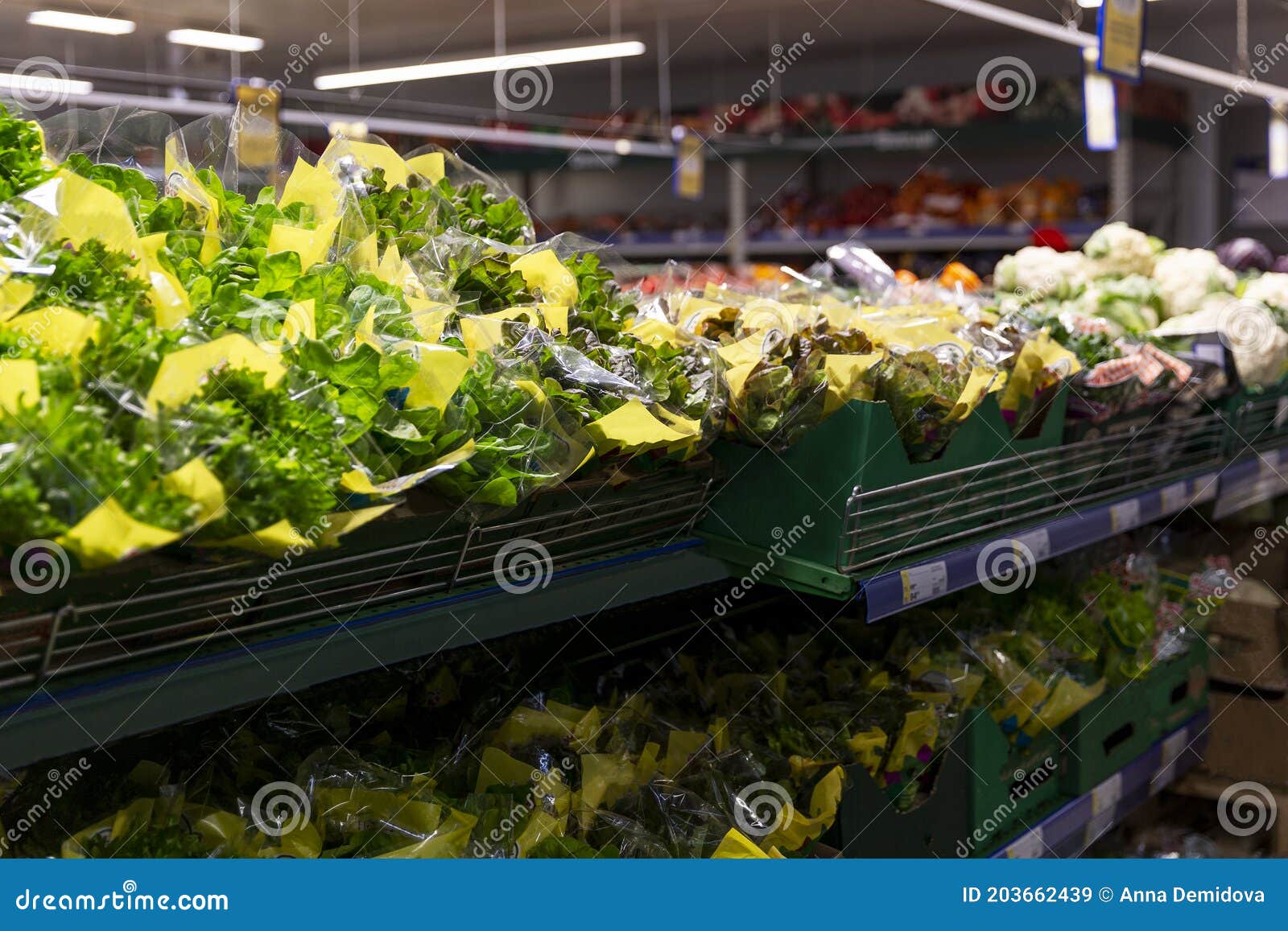 A Counter with Herbs in the Vegetable Section of the Store. Healthy ...