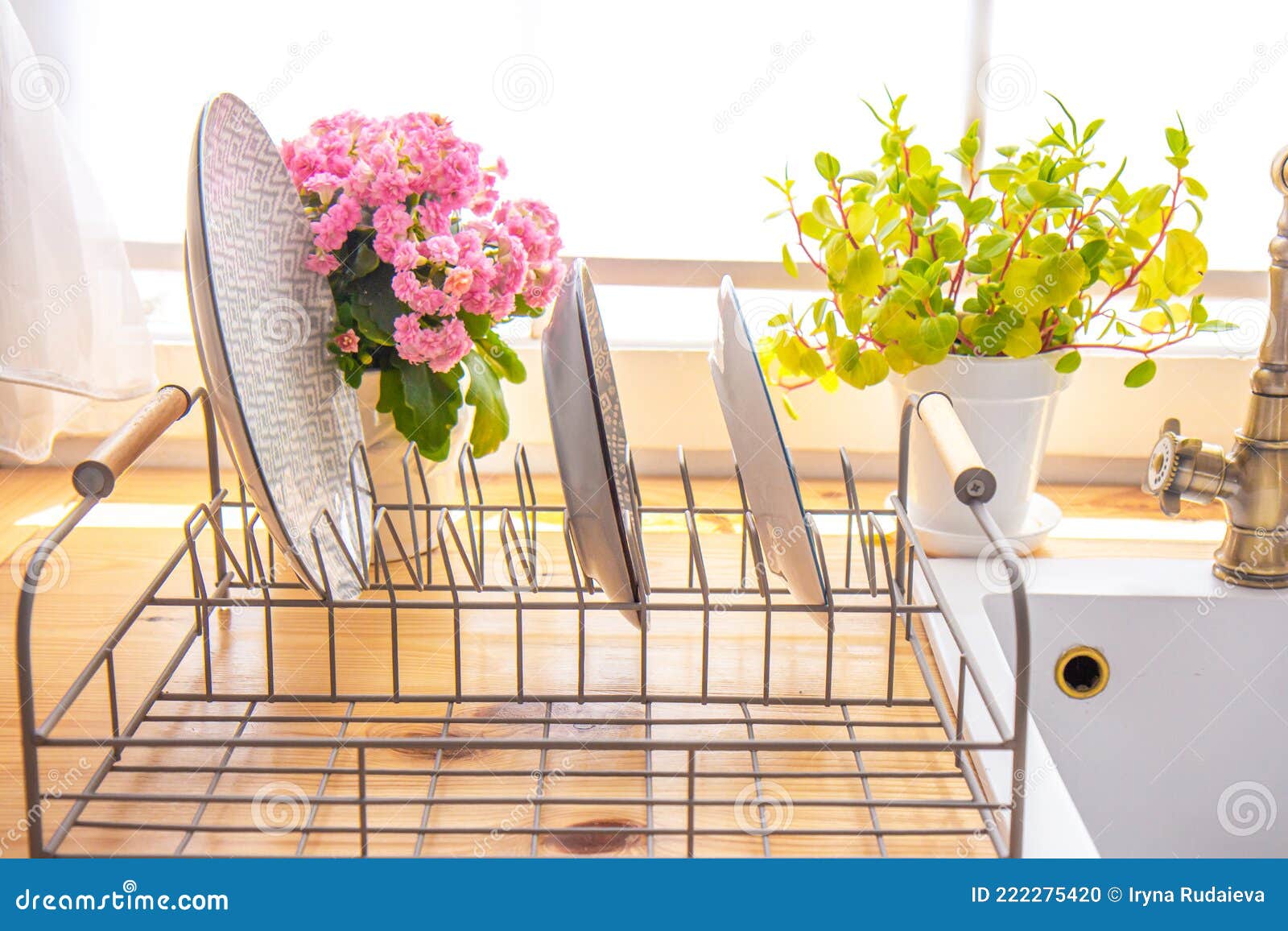 Countertops with Plants, Dish Rack and Windows with Shutters in the ...