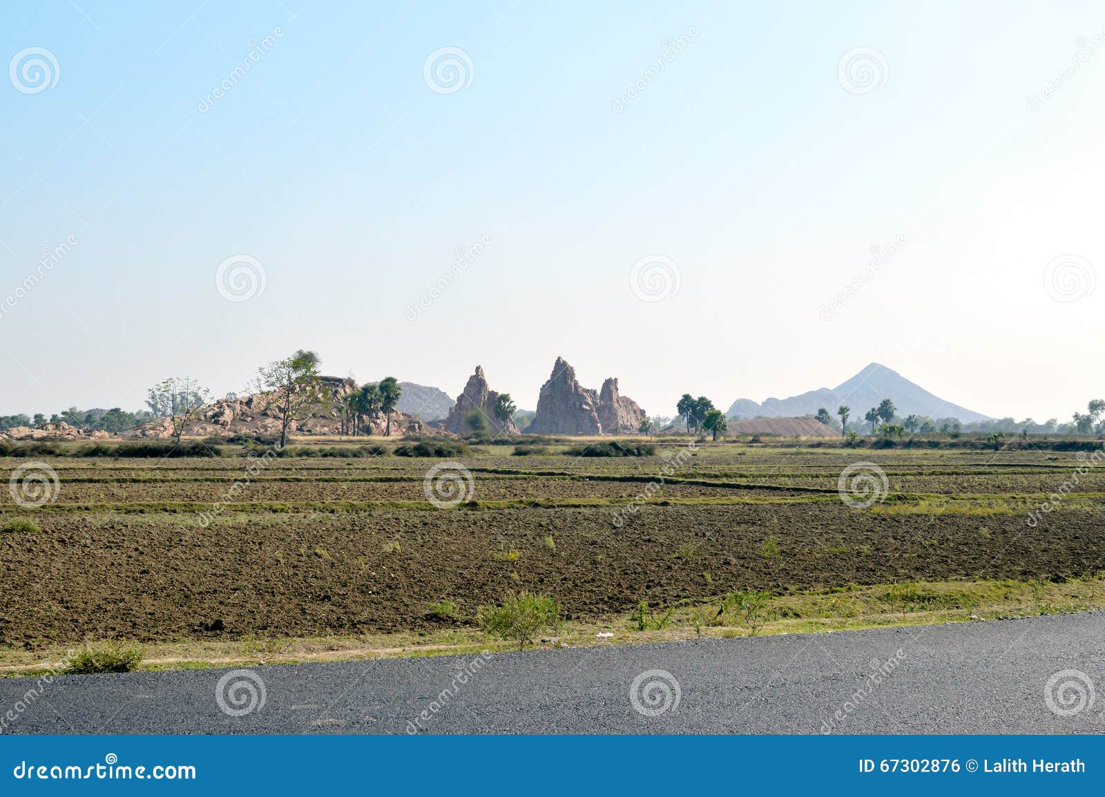 Faddy Fields Stock Photos - Free & Royalty-Free Stock Photos from ...