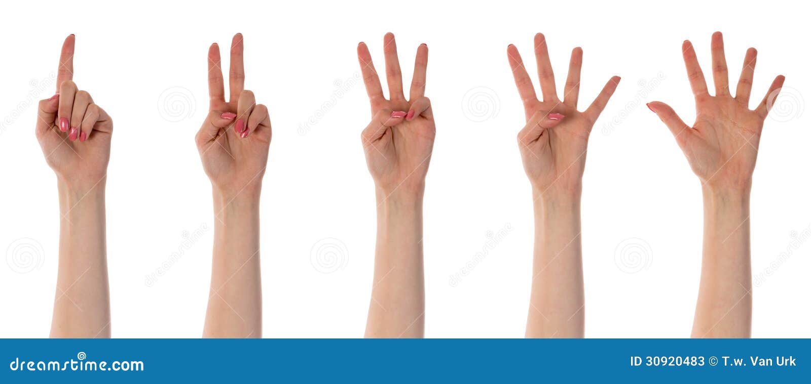 Counting Female Hands Isolated on White Stock Image - Image of concept ...