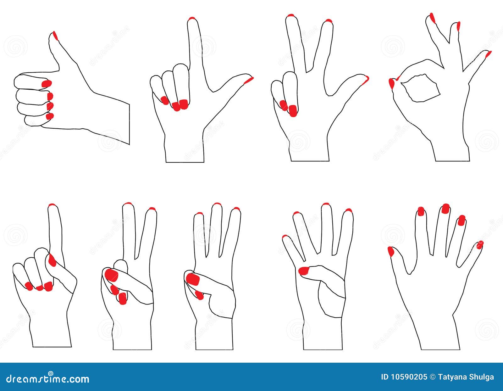 Counting fingers stock vector. Illustration of group - 10590205