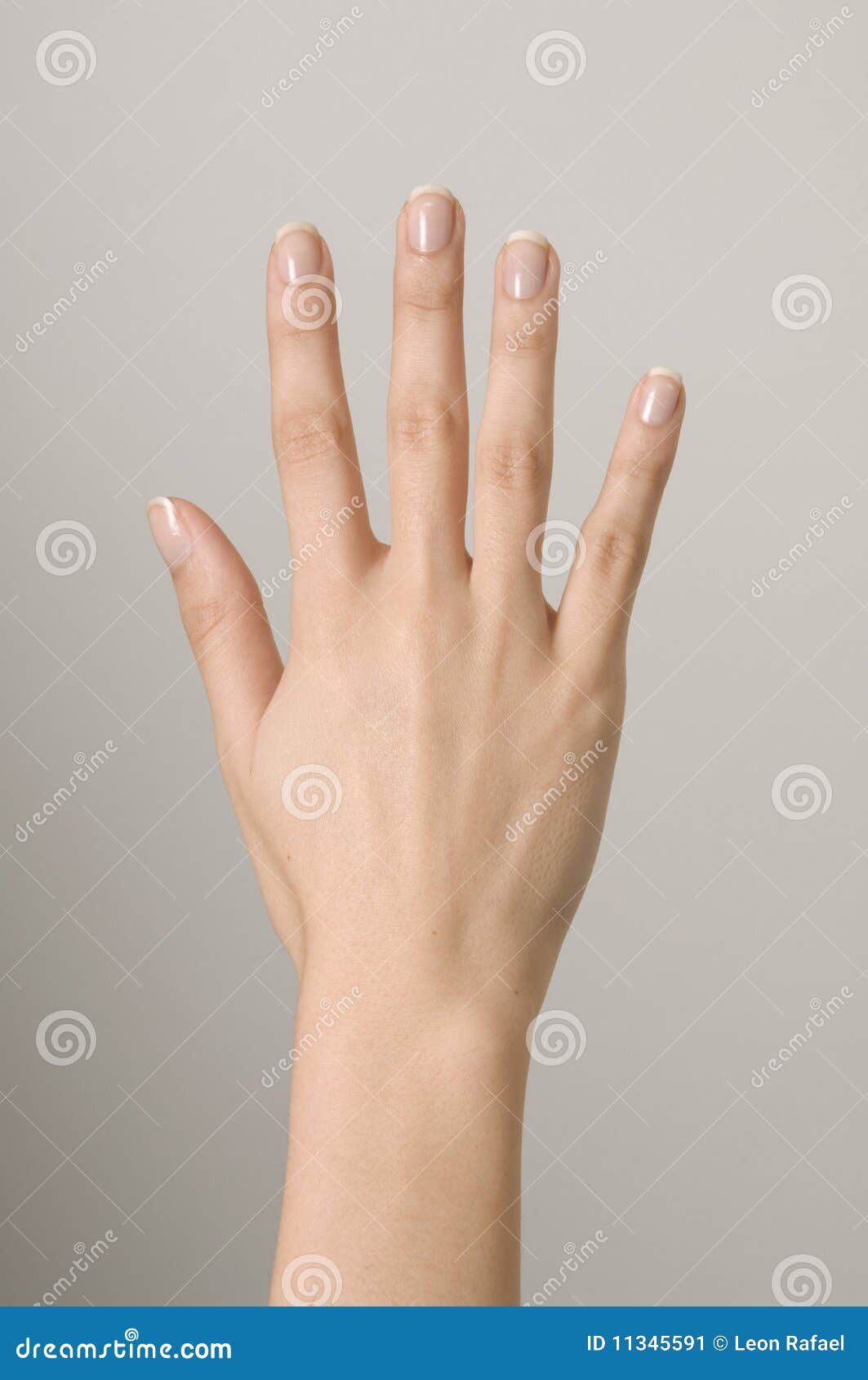 Counting Hand Five stock image. Image of isolated, steps - 11345591