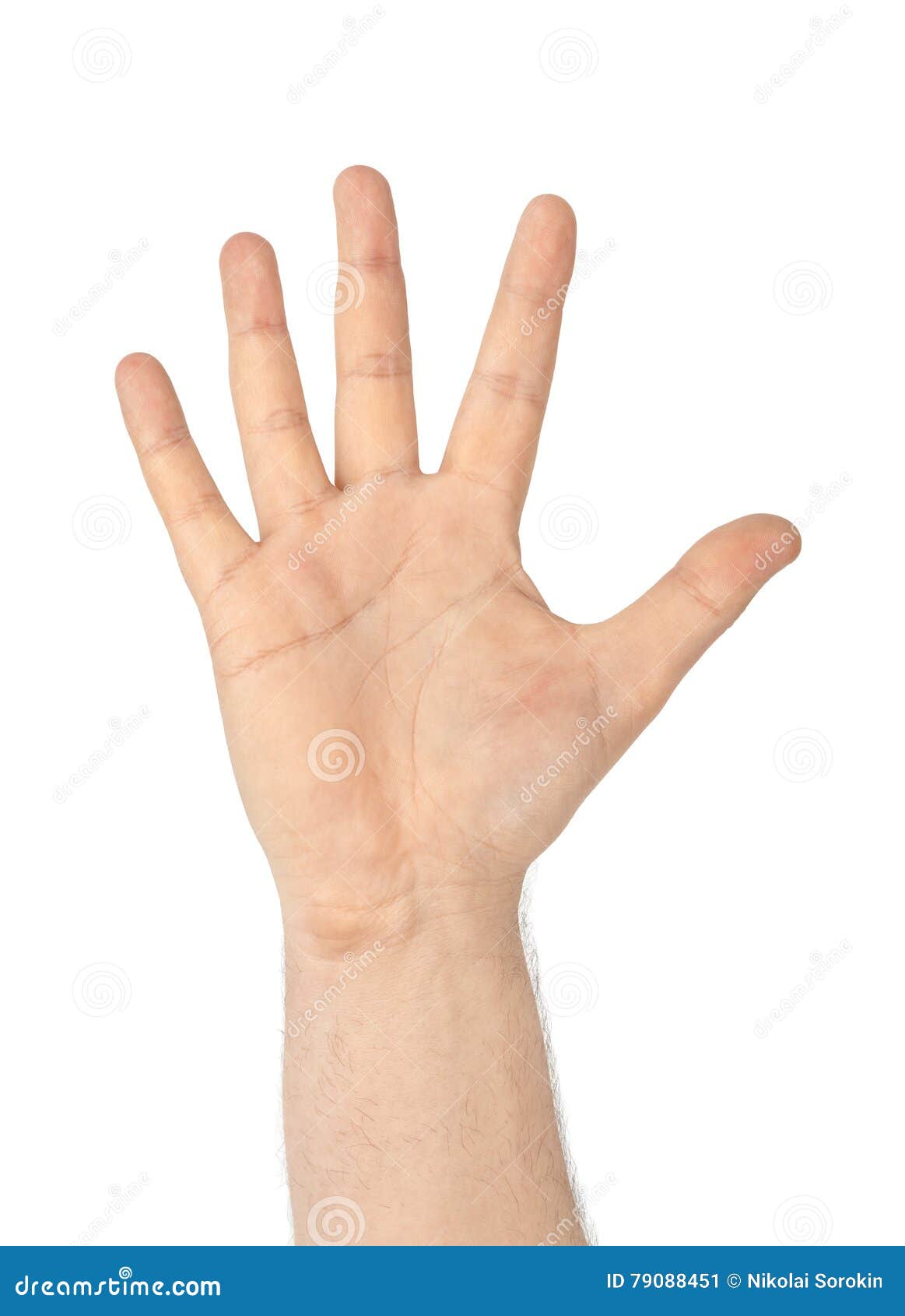 Counting Hand Sign Royalty-Free Stock Image | CartoonDealer.com #25553854