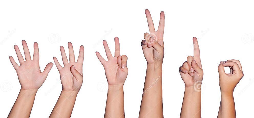 Hands with Fingers Counting To Five Stock Image - Image of parts, white ...