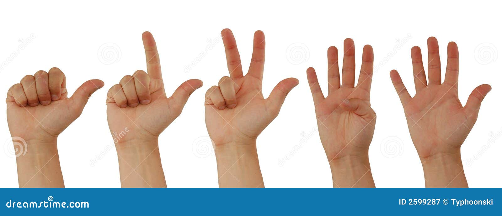 Counting Hands stock image. Image of three, count, fist - 2599287
