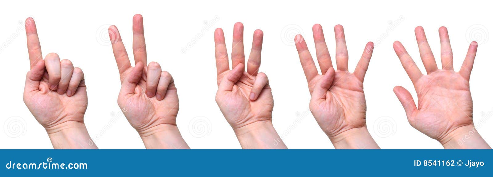 Counting hands stock photo. Image of caucasian, ideas - 8541162