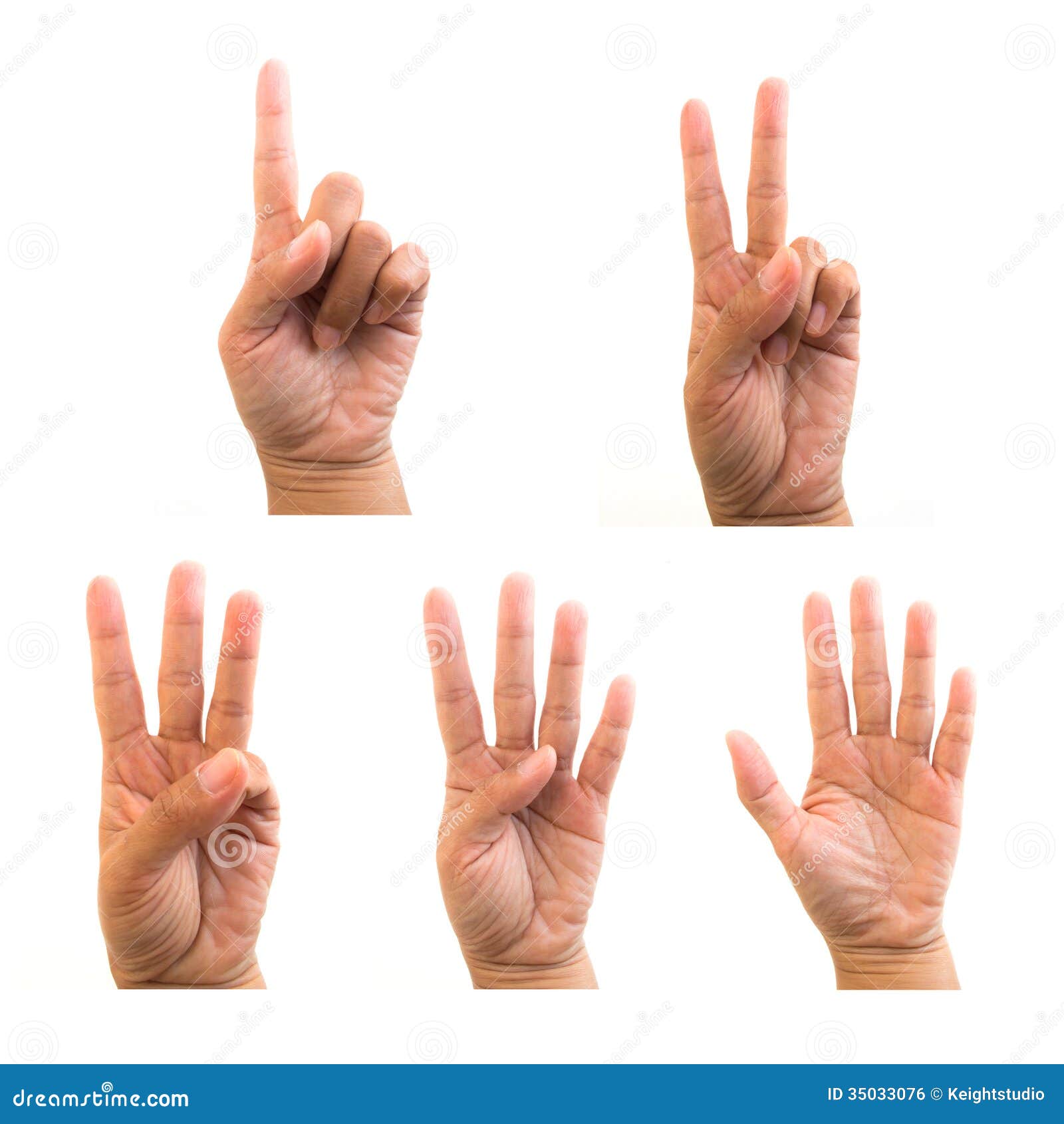 Counting hands stock photo. Image of five, sign, caucasian - 35033076