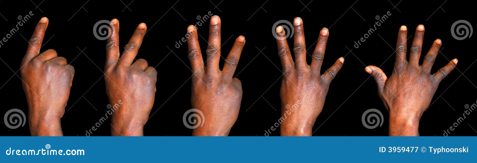 Counting Hands from One To Five Stock Image - Image of american, skin ...