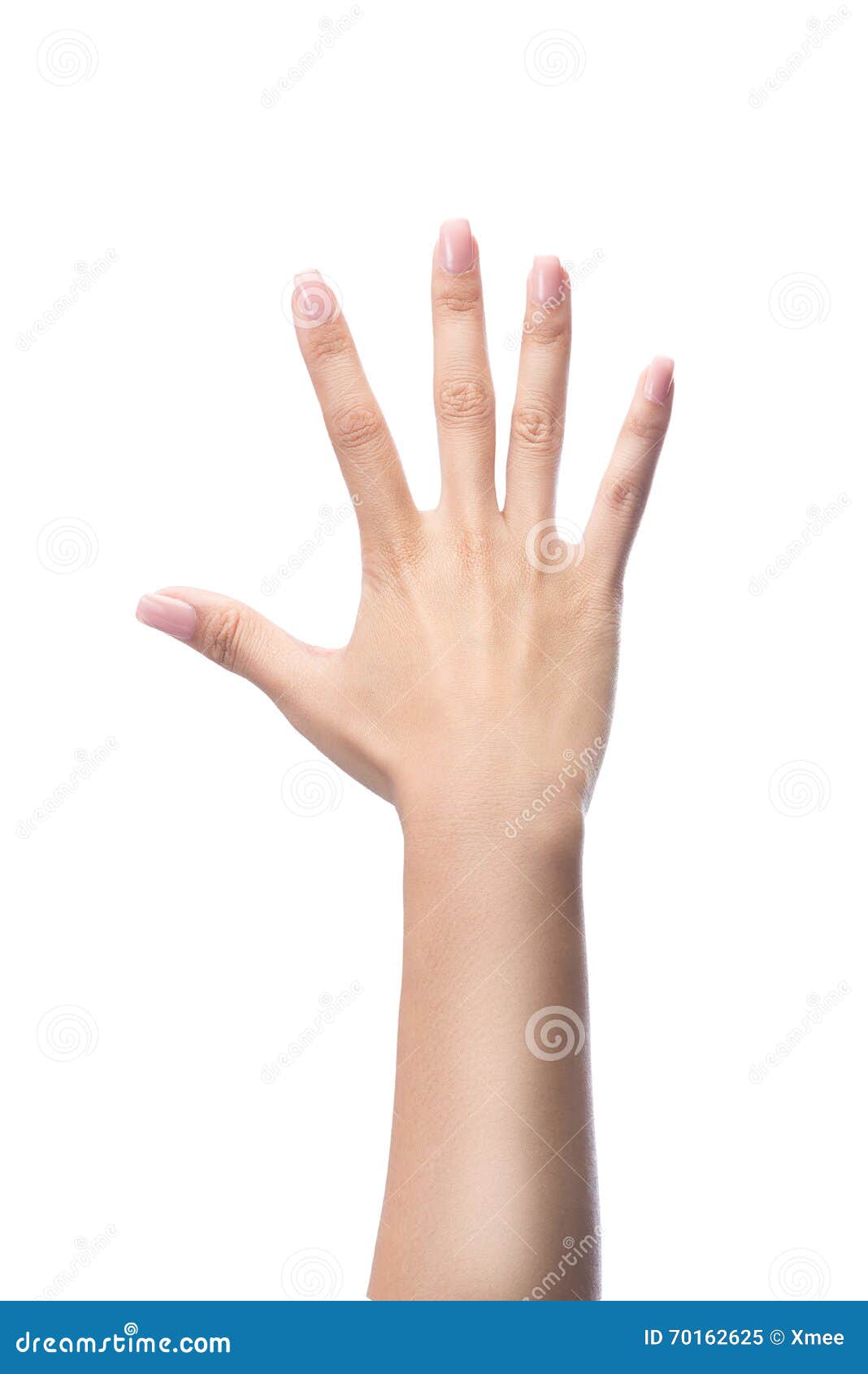 Counting Woman Hands ,number 5. Stock Image - Image of caucasian, learn ...