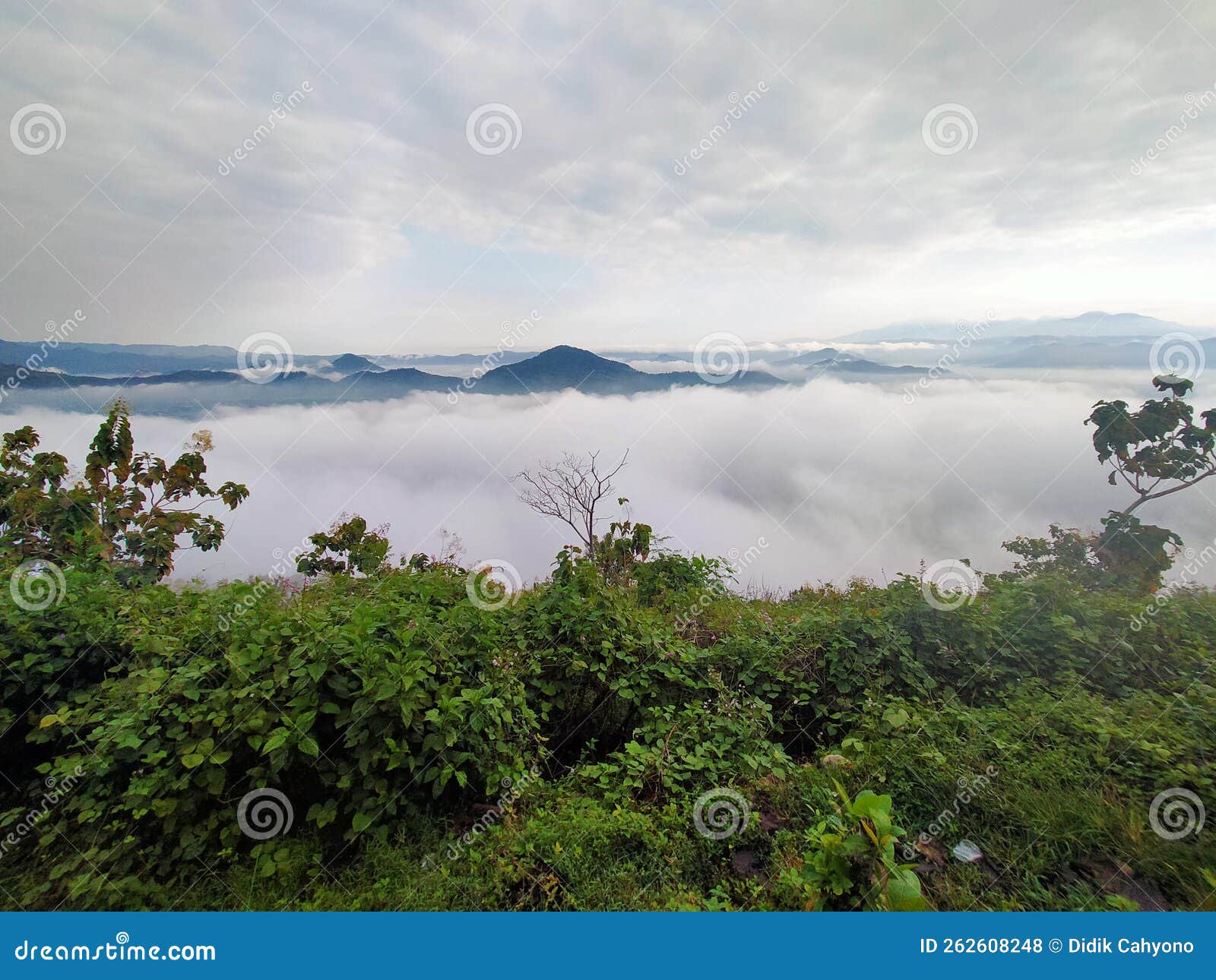 The Country Above the Clouds is Located on Banyon Hill, Trenggalek ...