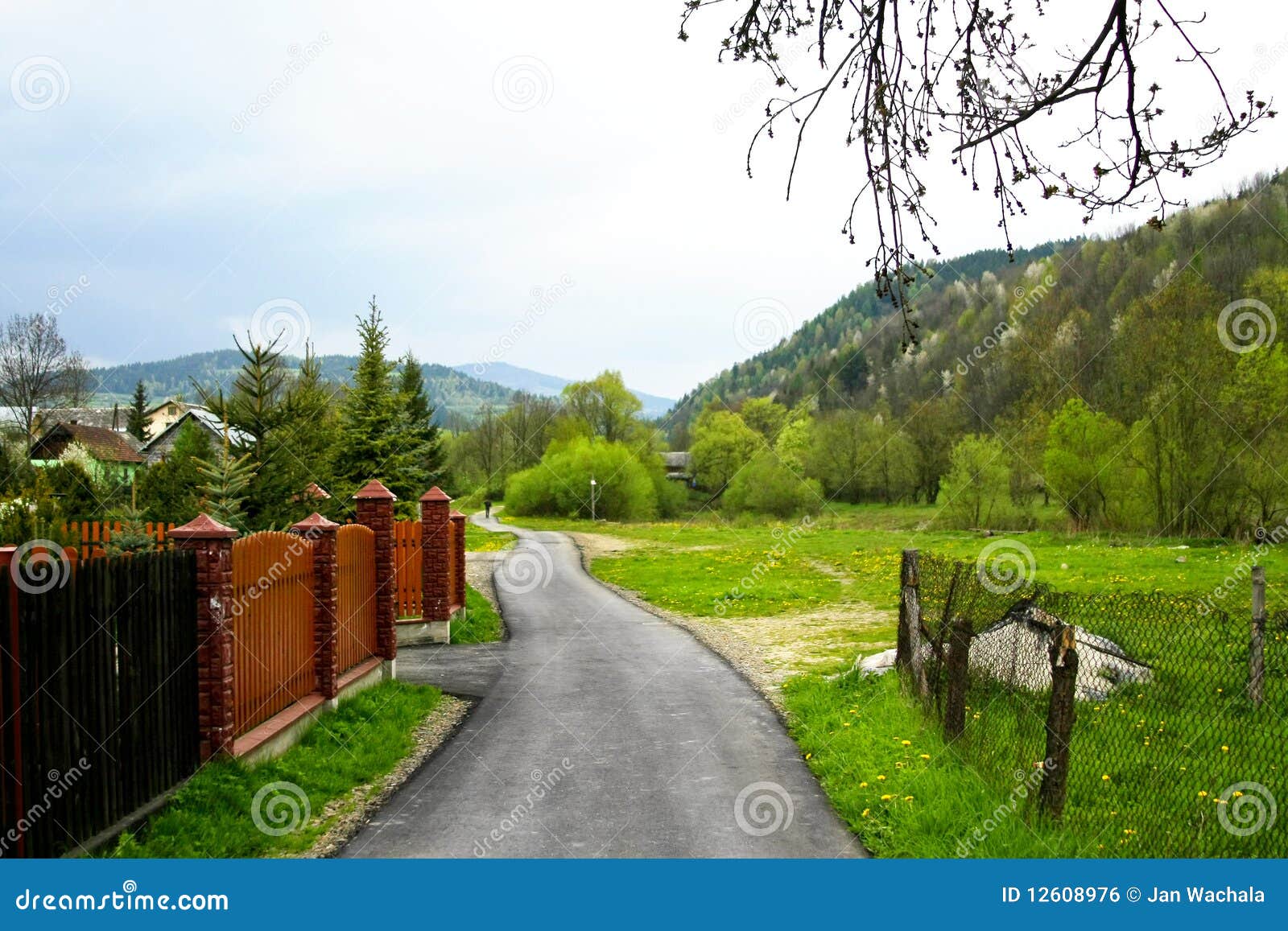 Country asphalt road stock photo. Image of scene, grass - 12608976