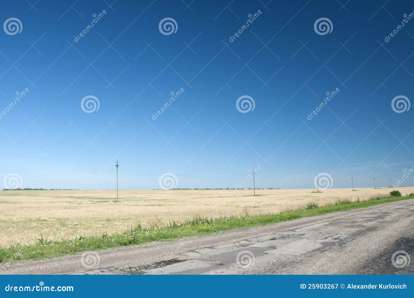 Country asphalt road stock image. Image of road, nature - 25903267