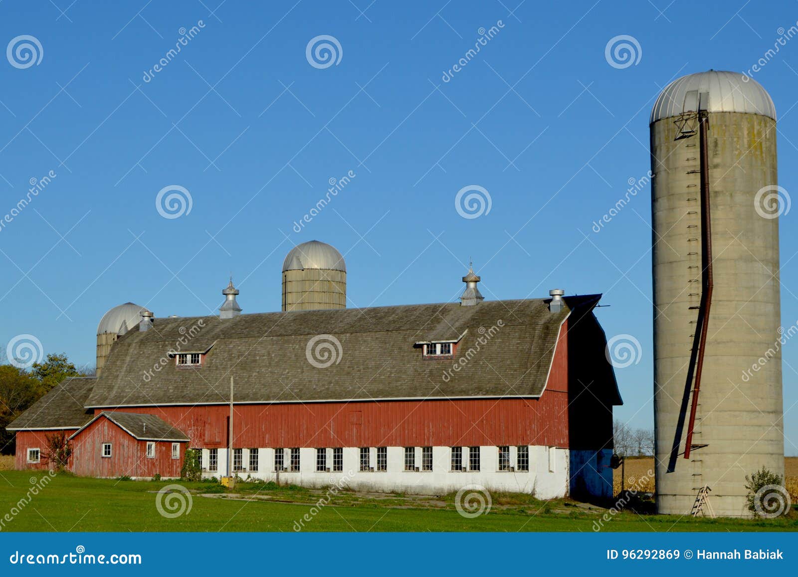 Country Barn with Three Silos Stock Image - Image of farm, architecture ...