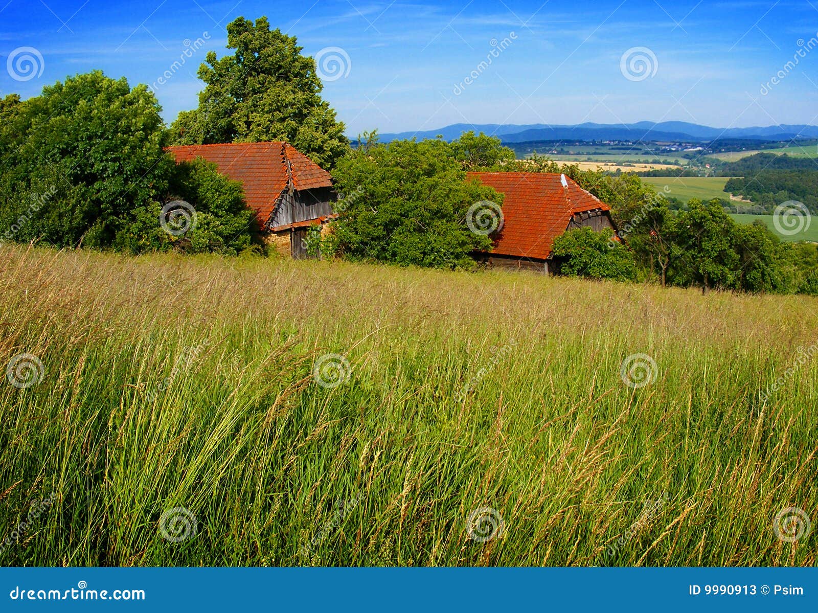 Country barns stock image. Image of trees, land, barns - 9990913