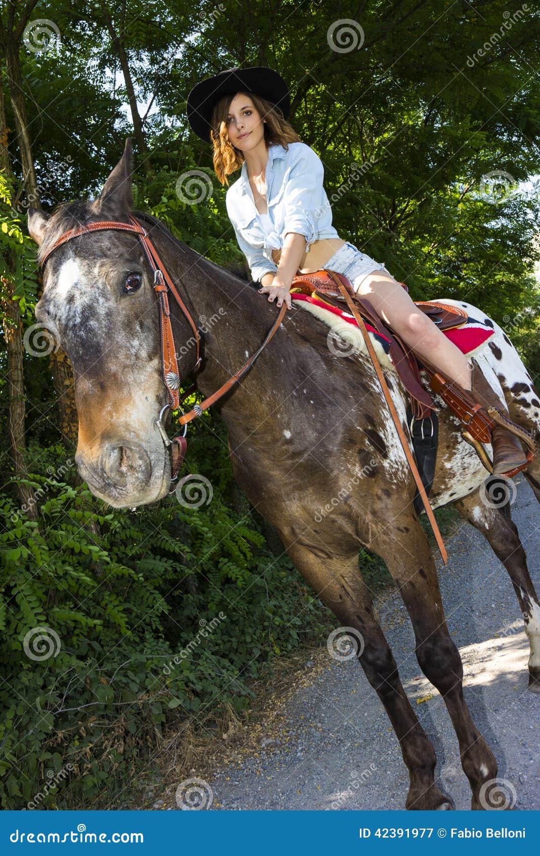 Country stock image. Image of beauty, grass, lifestyle - 42391977
