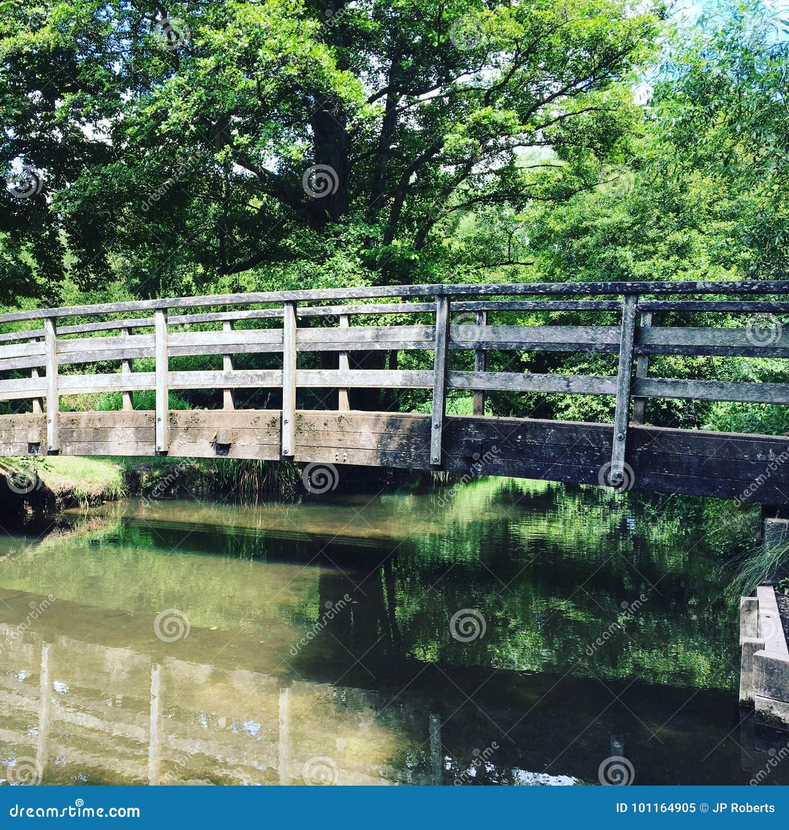 Country bridge stock image. Image of bridge, england - 101164905