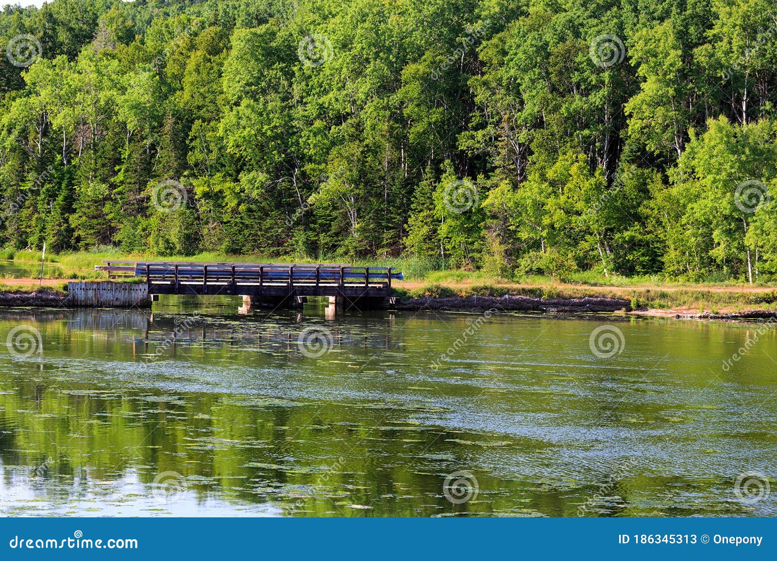 Rural Country Bridge stock image. Image of peaceful - 186345313