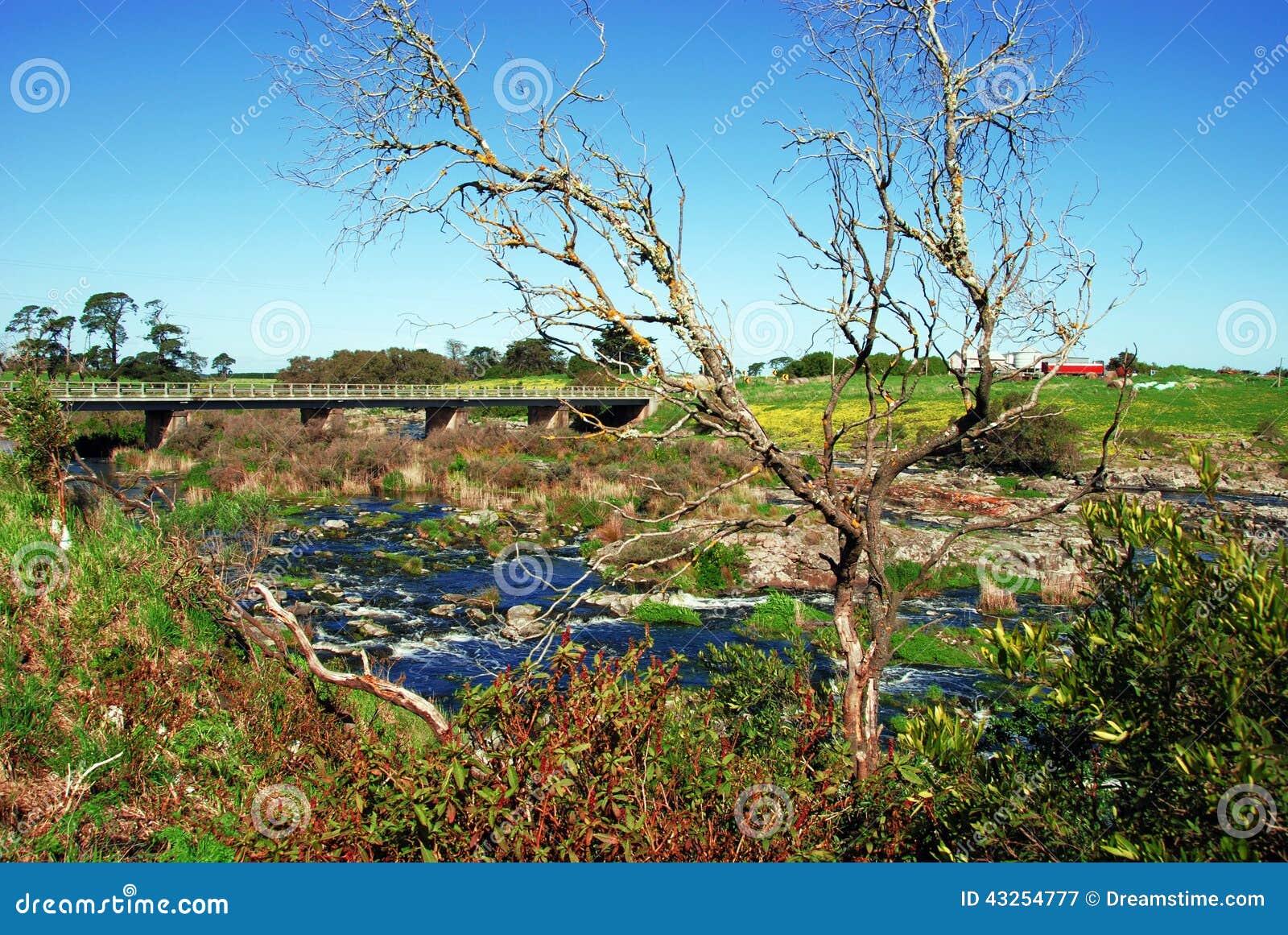 Country bridge stock image. Image of rural, rapids, tree - 43254777