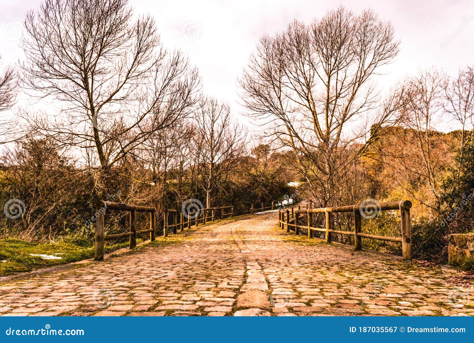 Country Bridge with Wooden Poles and Leafless Shrubs Stock Image ...