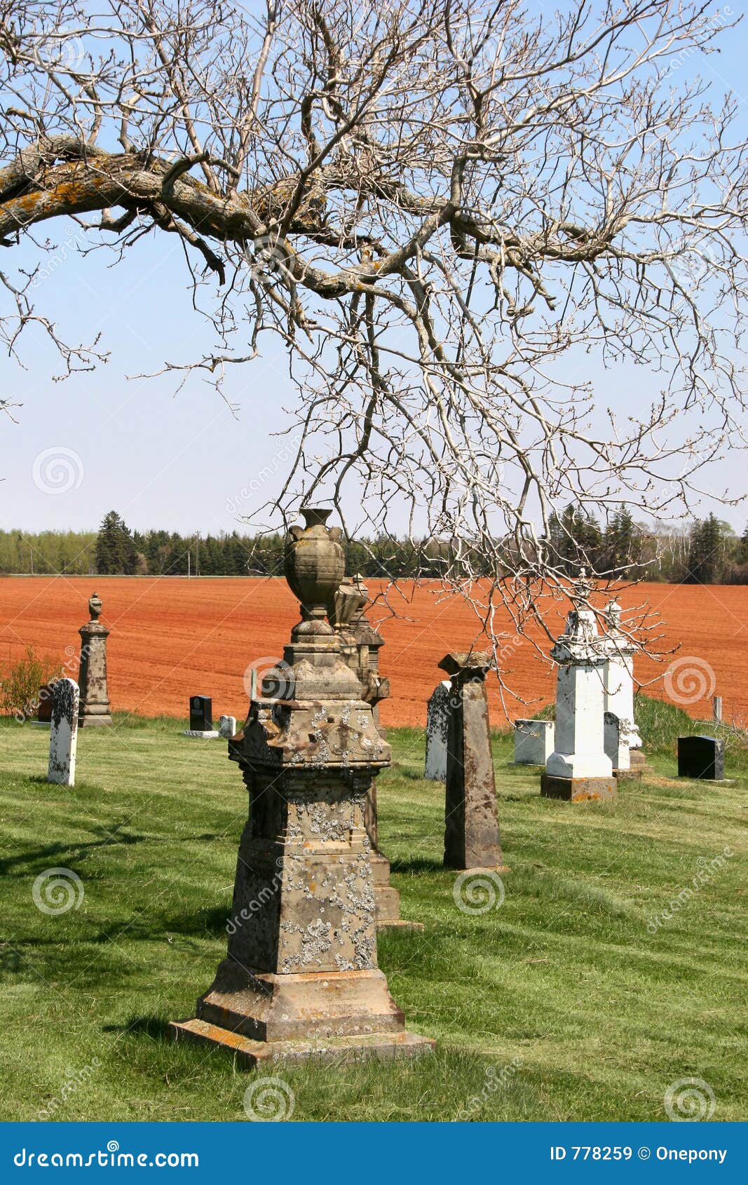Country Cemetery stock image. Image of fields, heritage - 778259