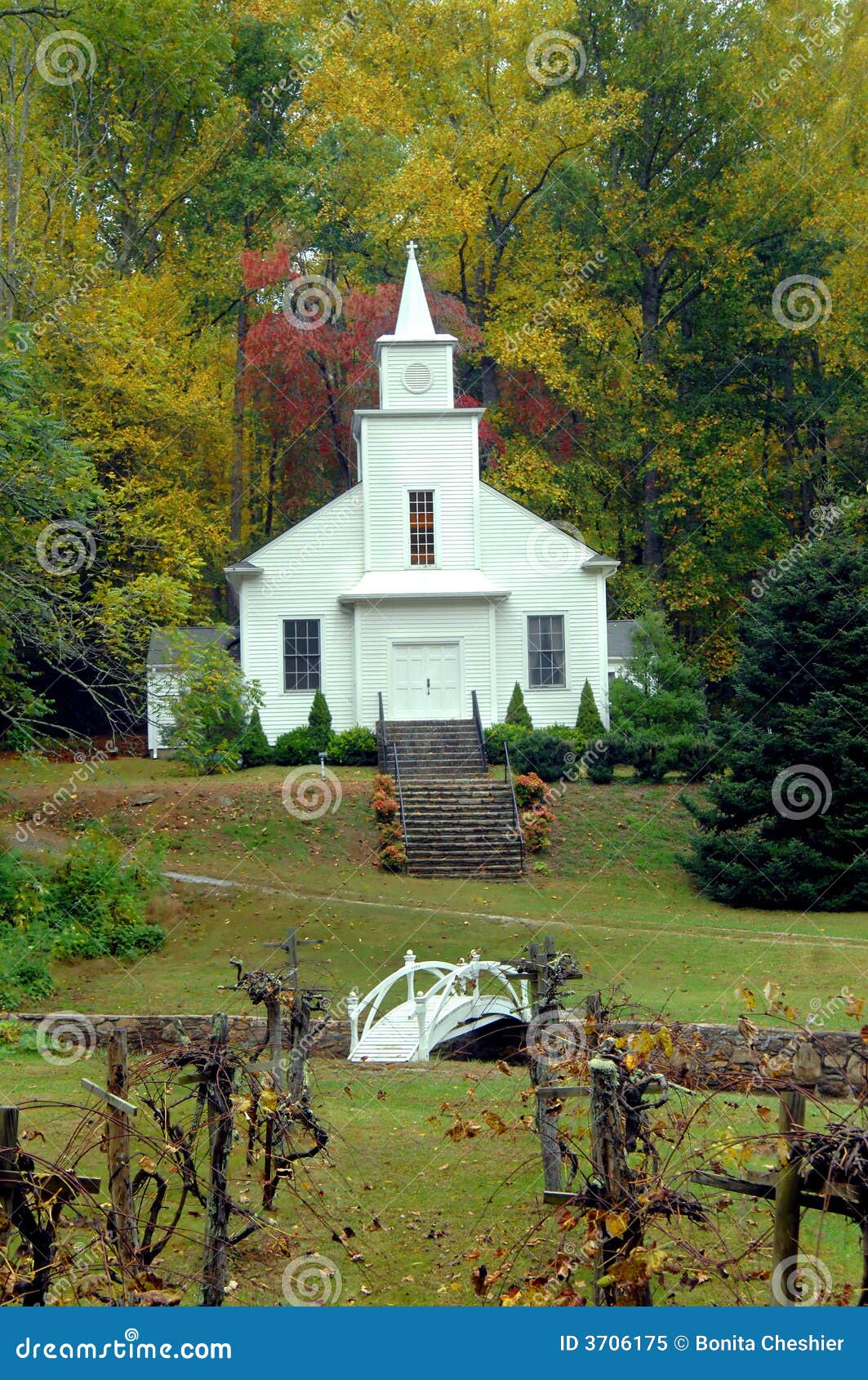 Country Church with Grape Arbor Stock Image - Image of church, quaint ...