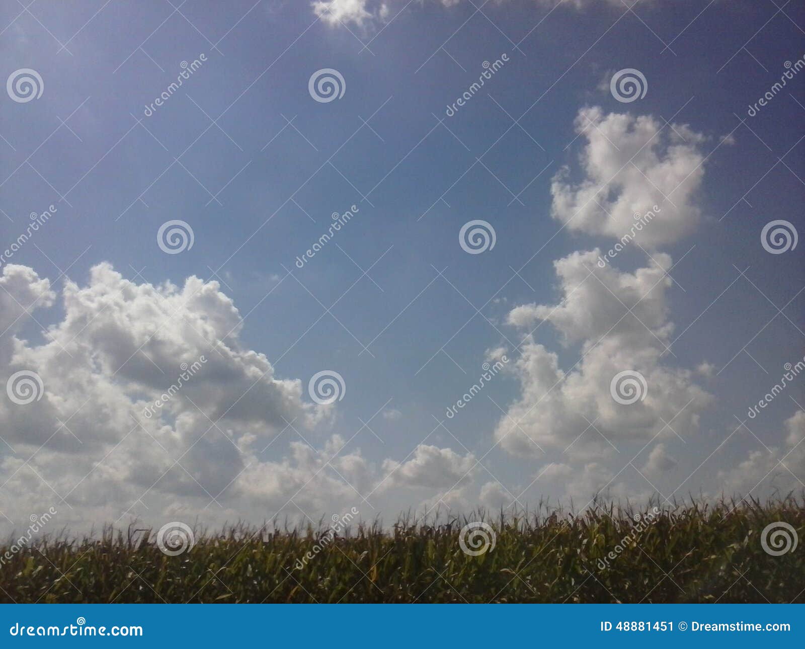 Country stock image. Image of ecosystem, country, prairie - 48881451