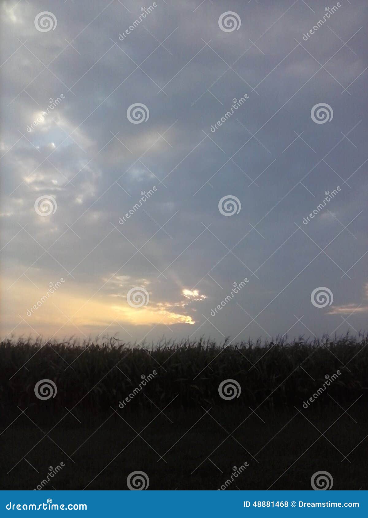 Country stock photo. Image of cumulus, ecoregion, daytime - 48881468